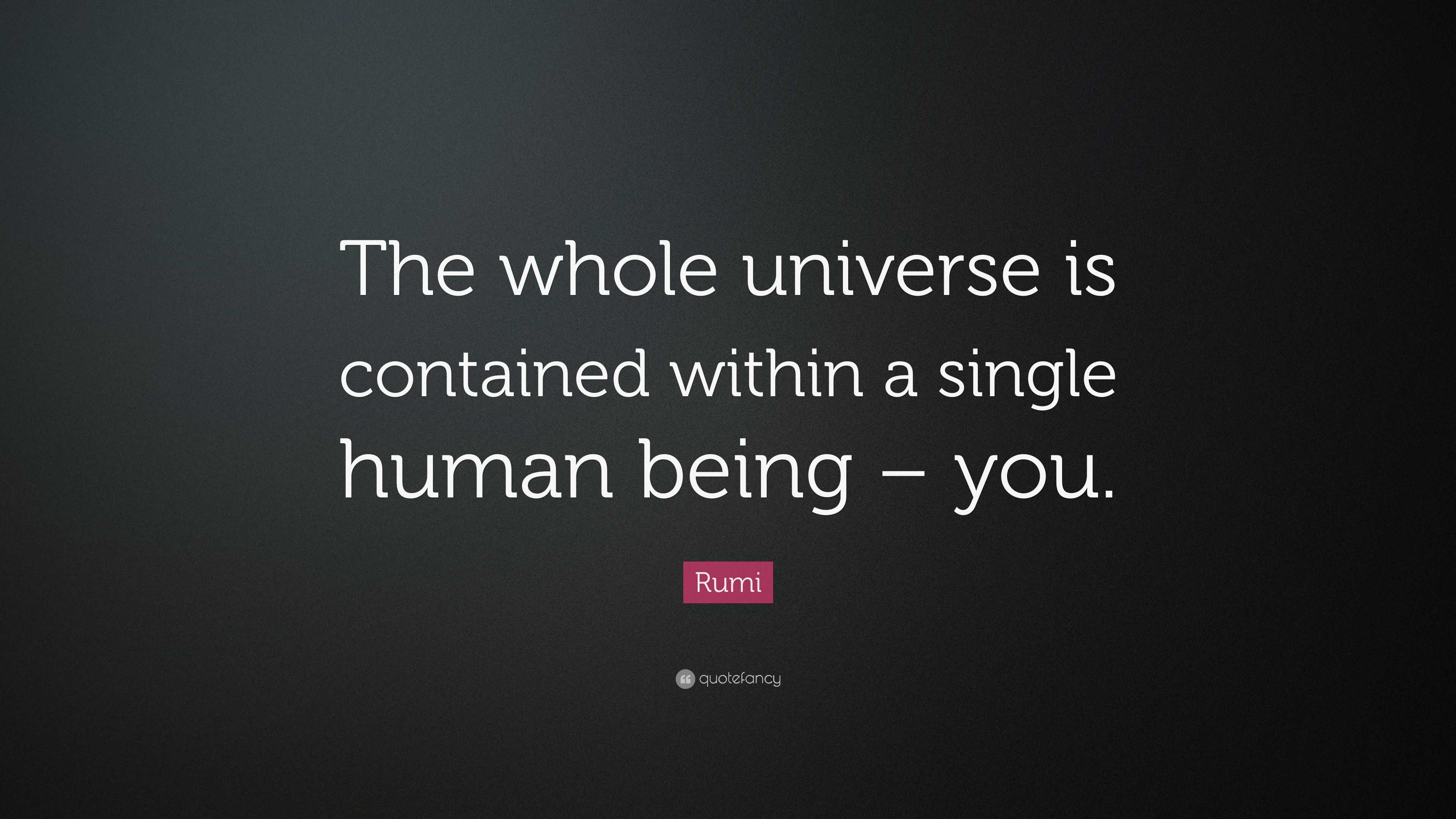 Rumi Quote: “The whole universe is contained within a single human ...