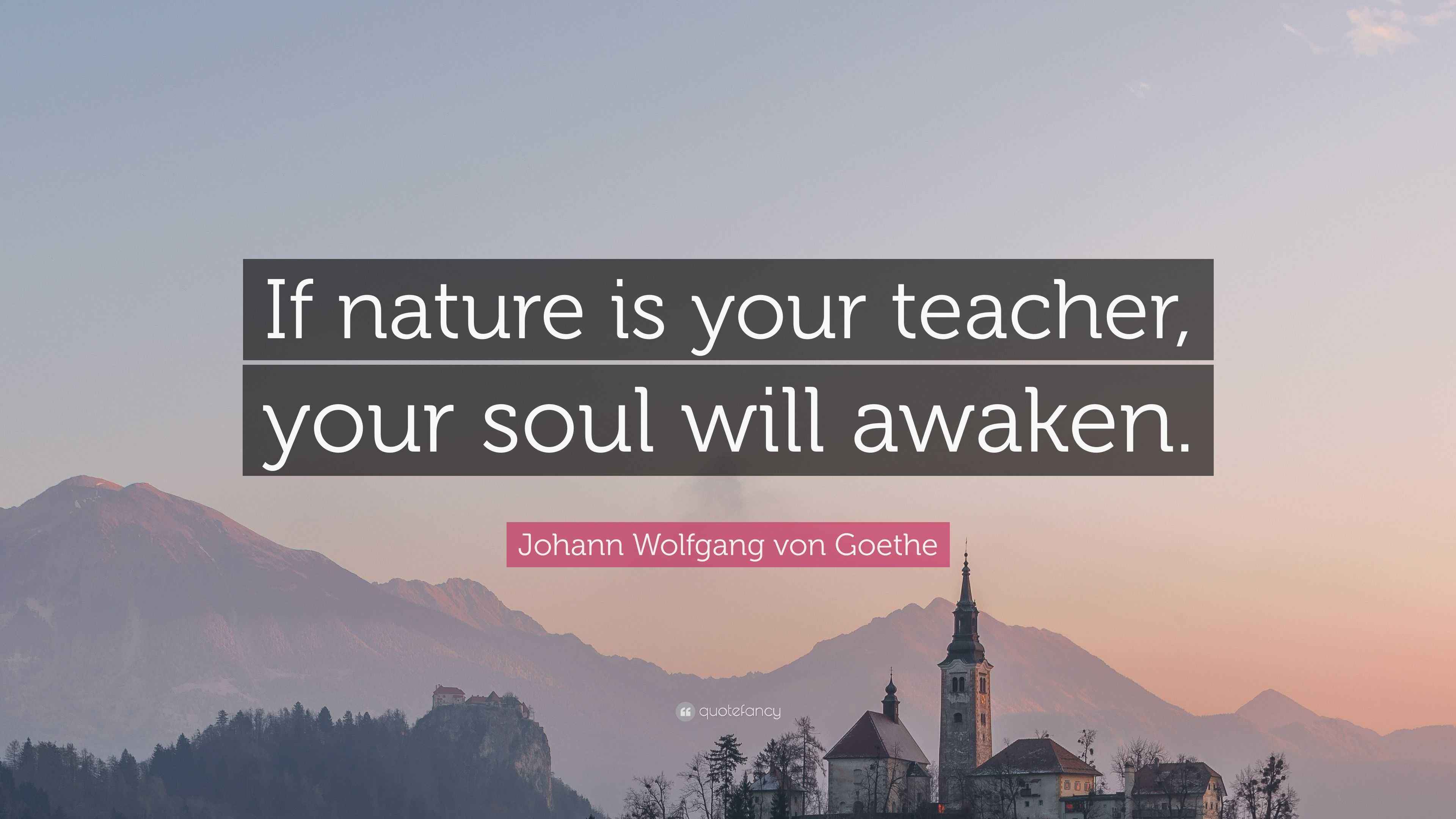 Nature Teacher Quotes