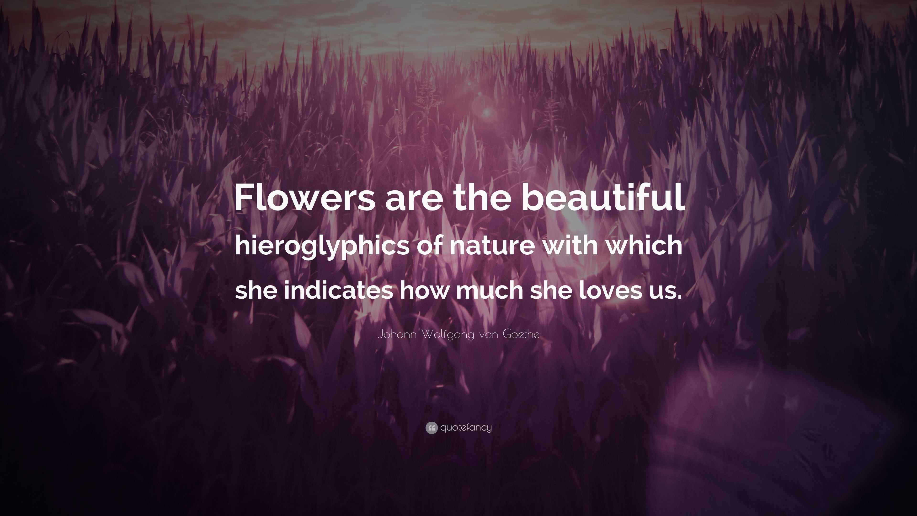 Johann Wolfgang von Goethe Quote: “Flowers are the beautiful ...