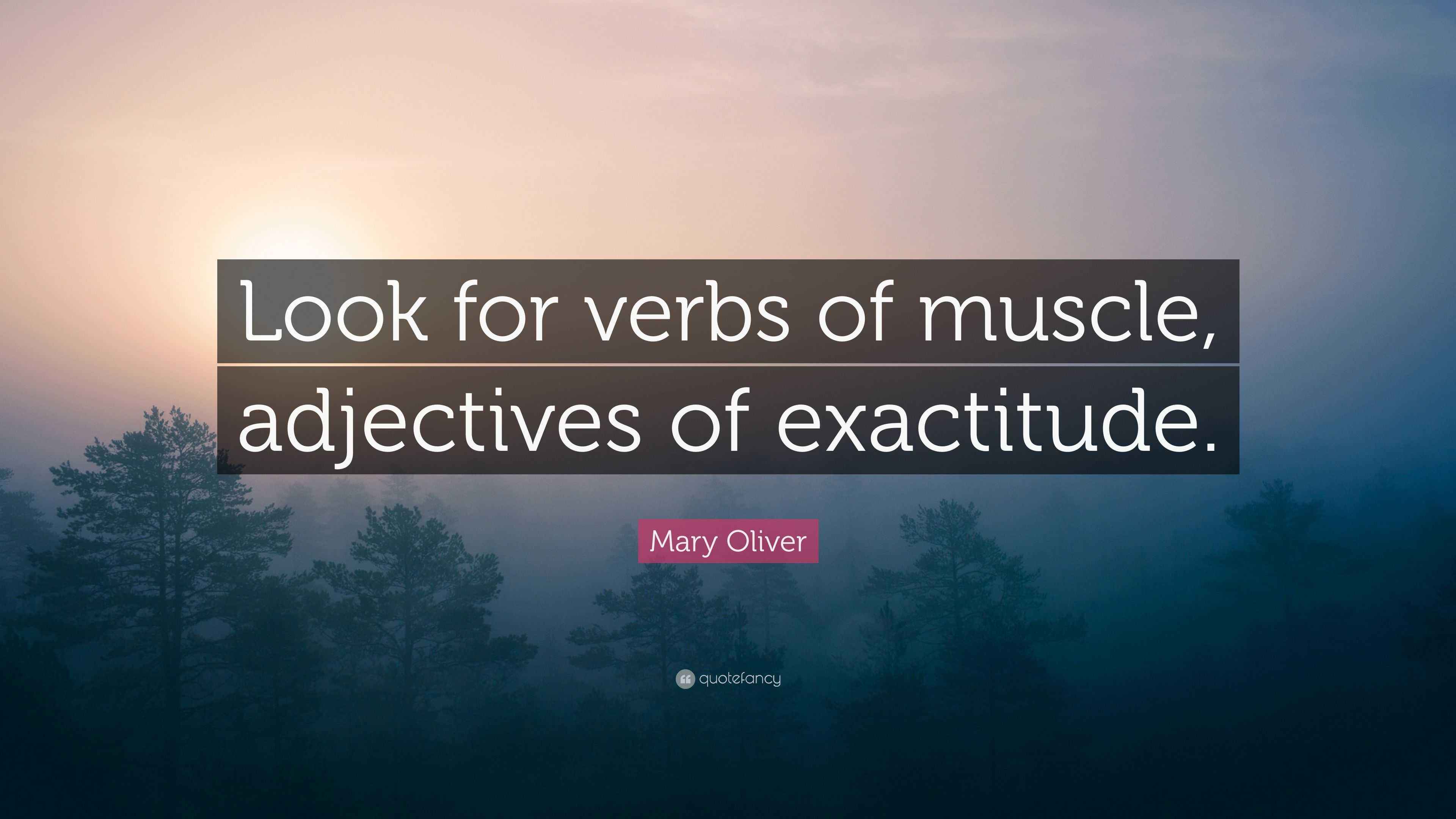Mary Oliver Quote: “Look for verbs of muscle, adjectives of exactitude.”