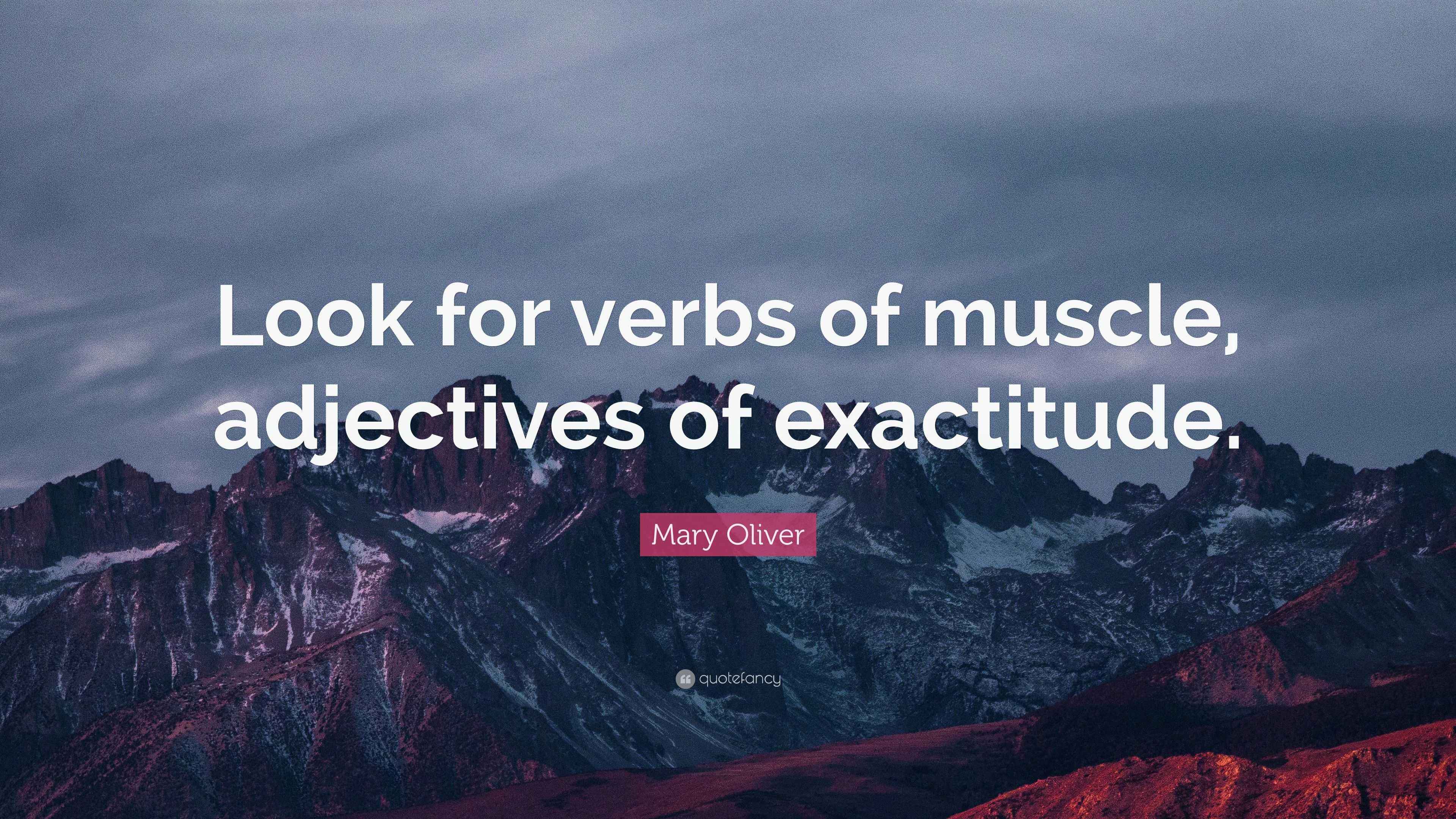 Mary Oliver Quote: “Look for verbs of muscle, adjectives of exactitude.”