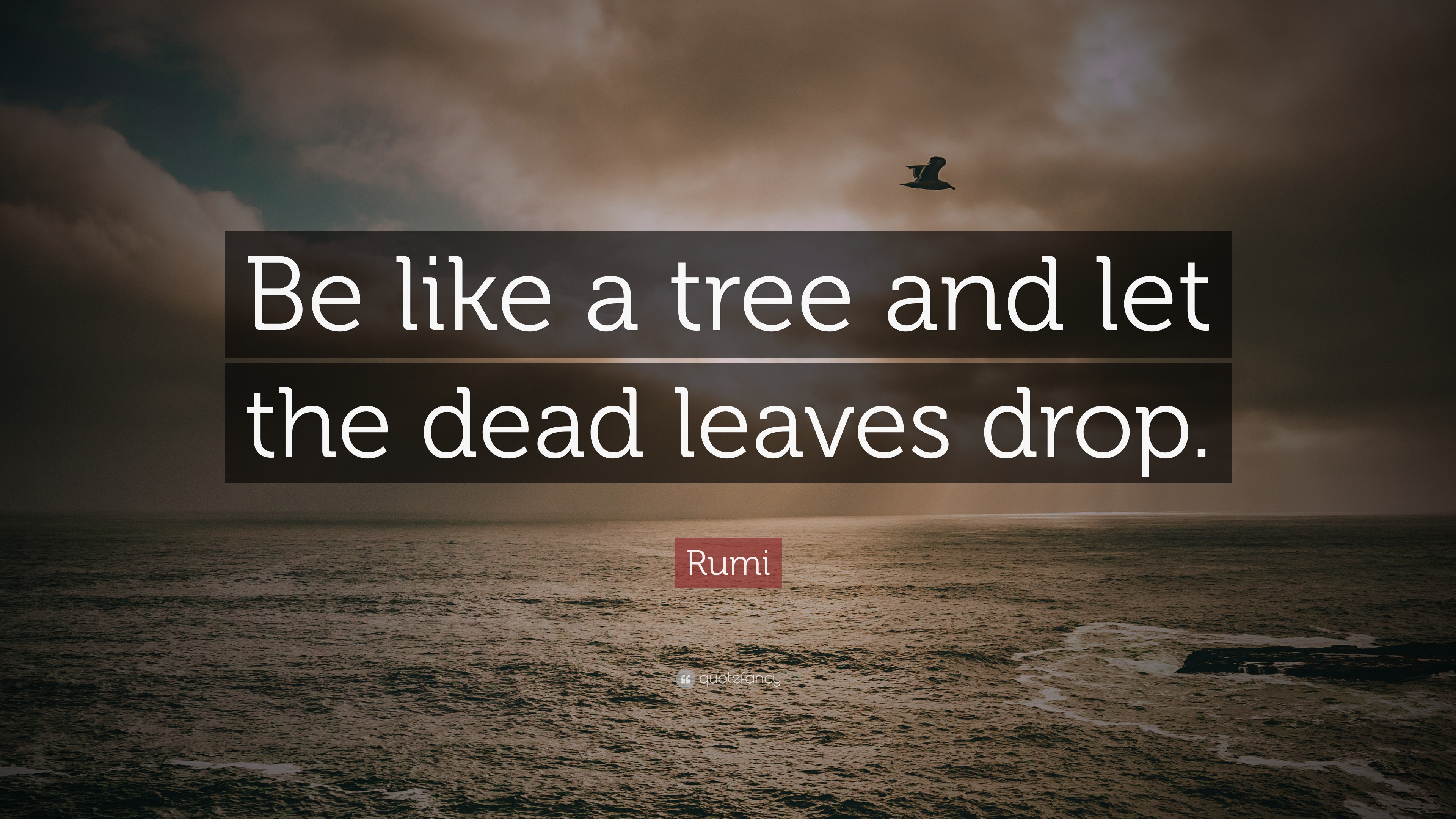 Rumi Quote: “Be like a tree and let the dead leaves drop.”