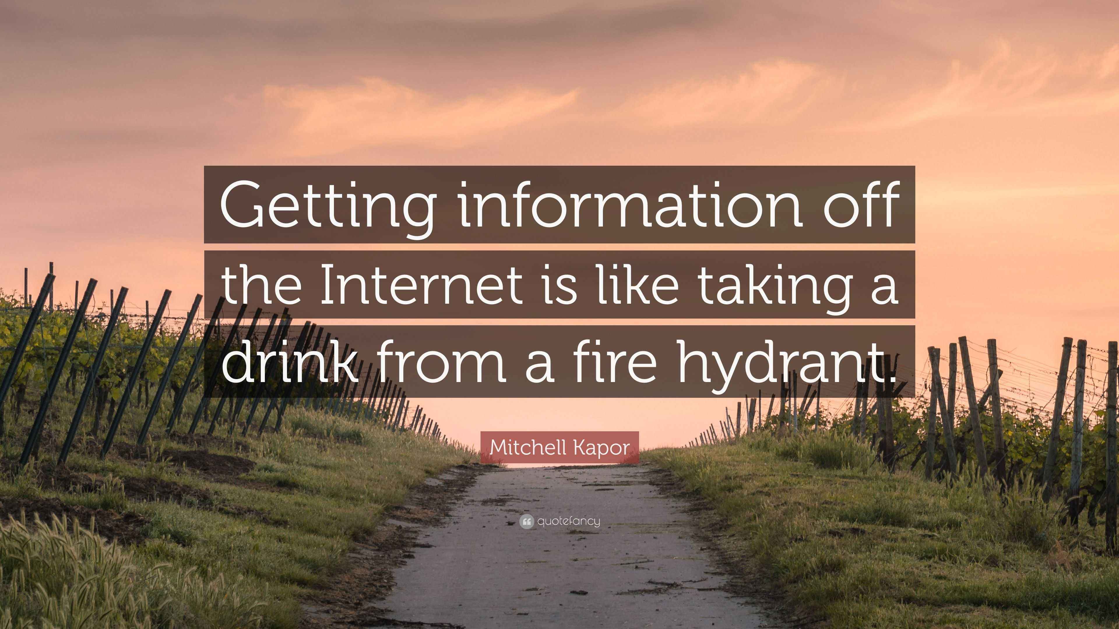 Mitchell Kapor Quote: “Getting information off the Internet is like ...