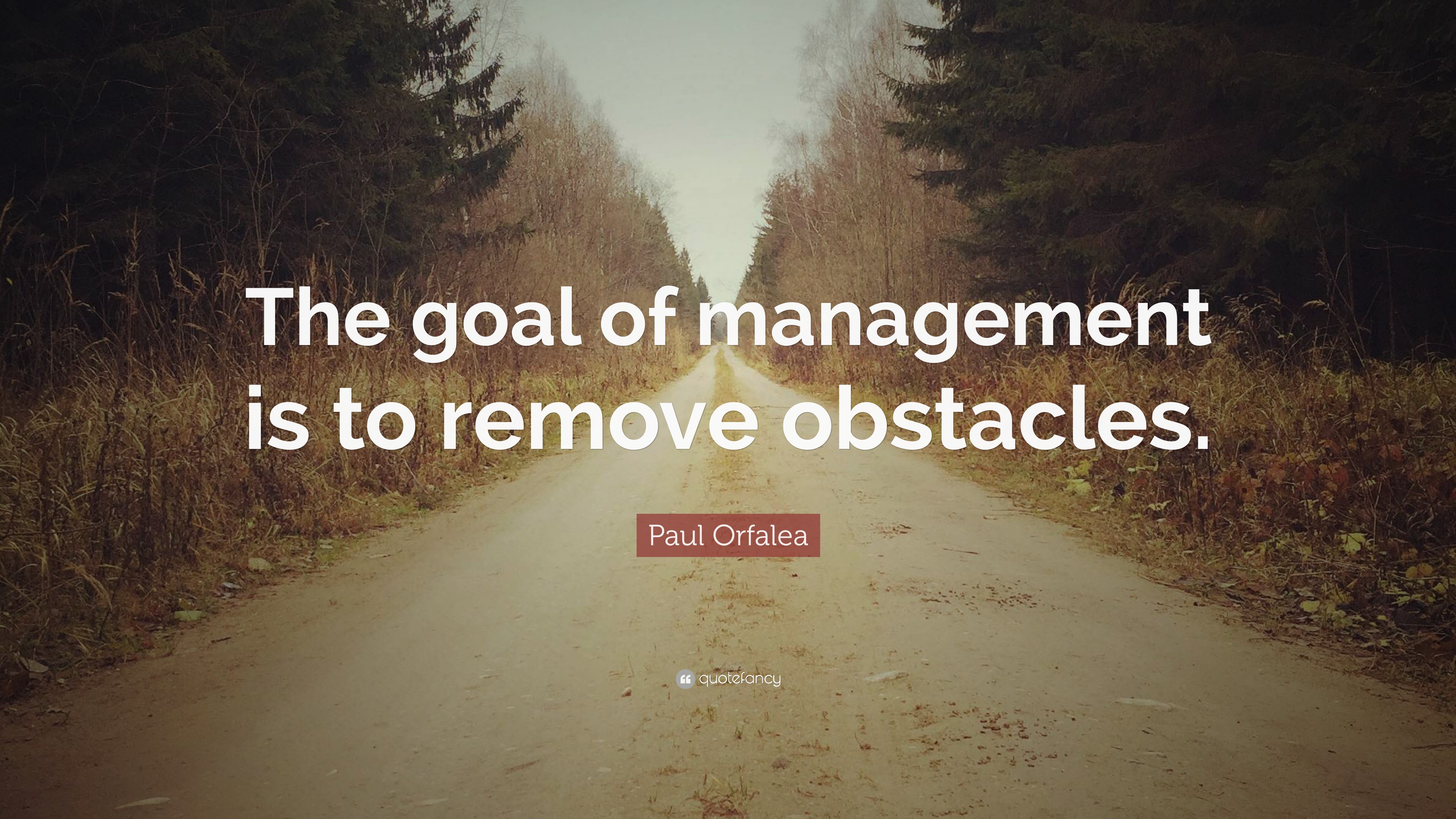 Paul Orfalea Quote: “The goal of management is to remove obstacles.”