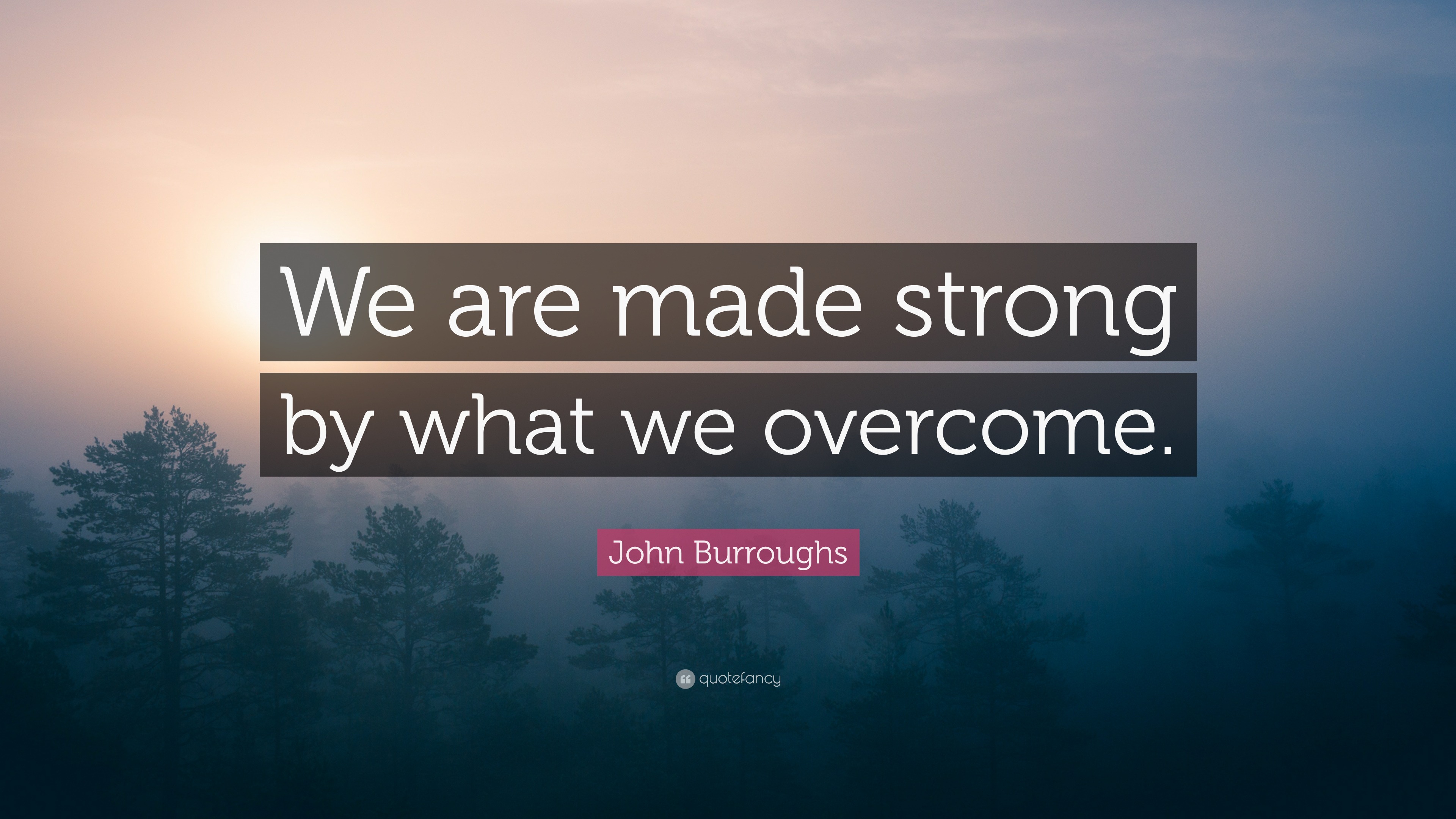 John Burroughs Quote: “We are made strong by what we overcome.”