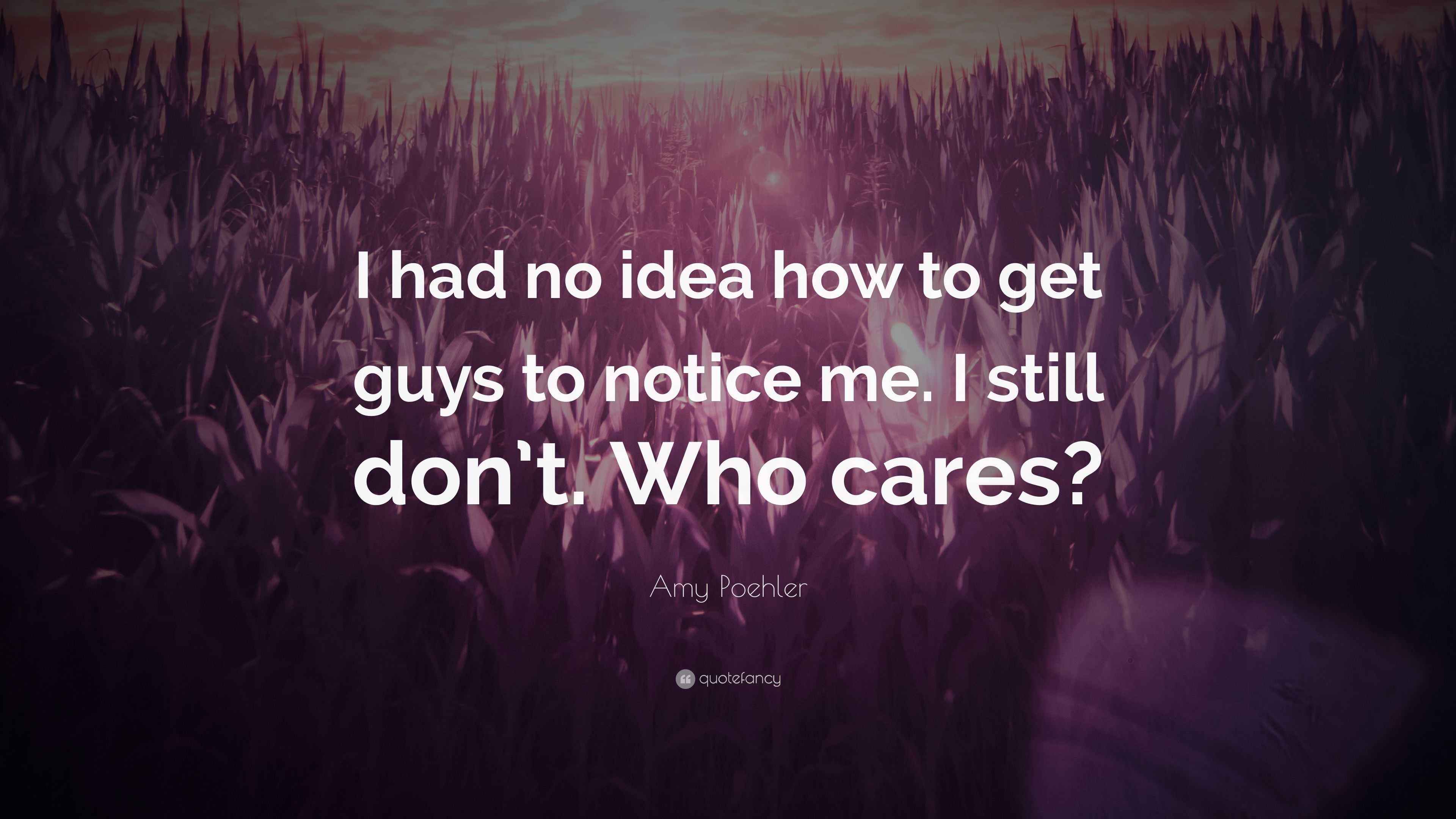 Amy Poehler Quote: “I had no idea how to get guys to notice me. I still ...