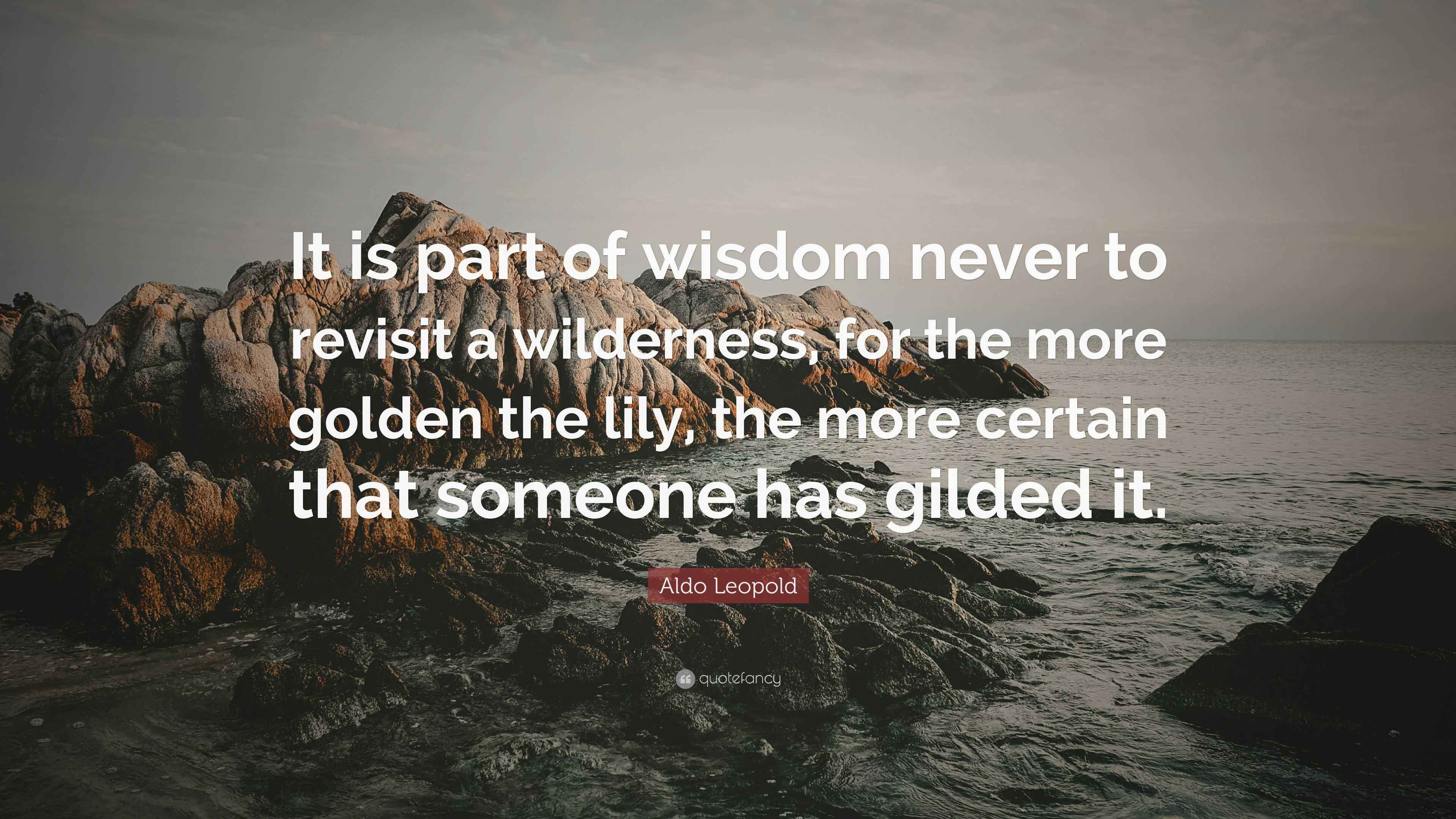 Aldo Leopold Quote: “It is part of wisdom never to revisit a wilderness ...
