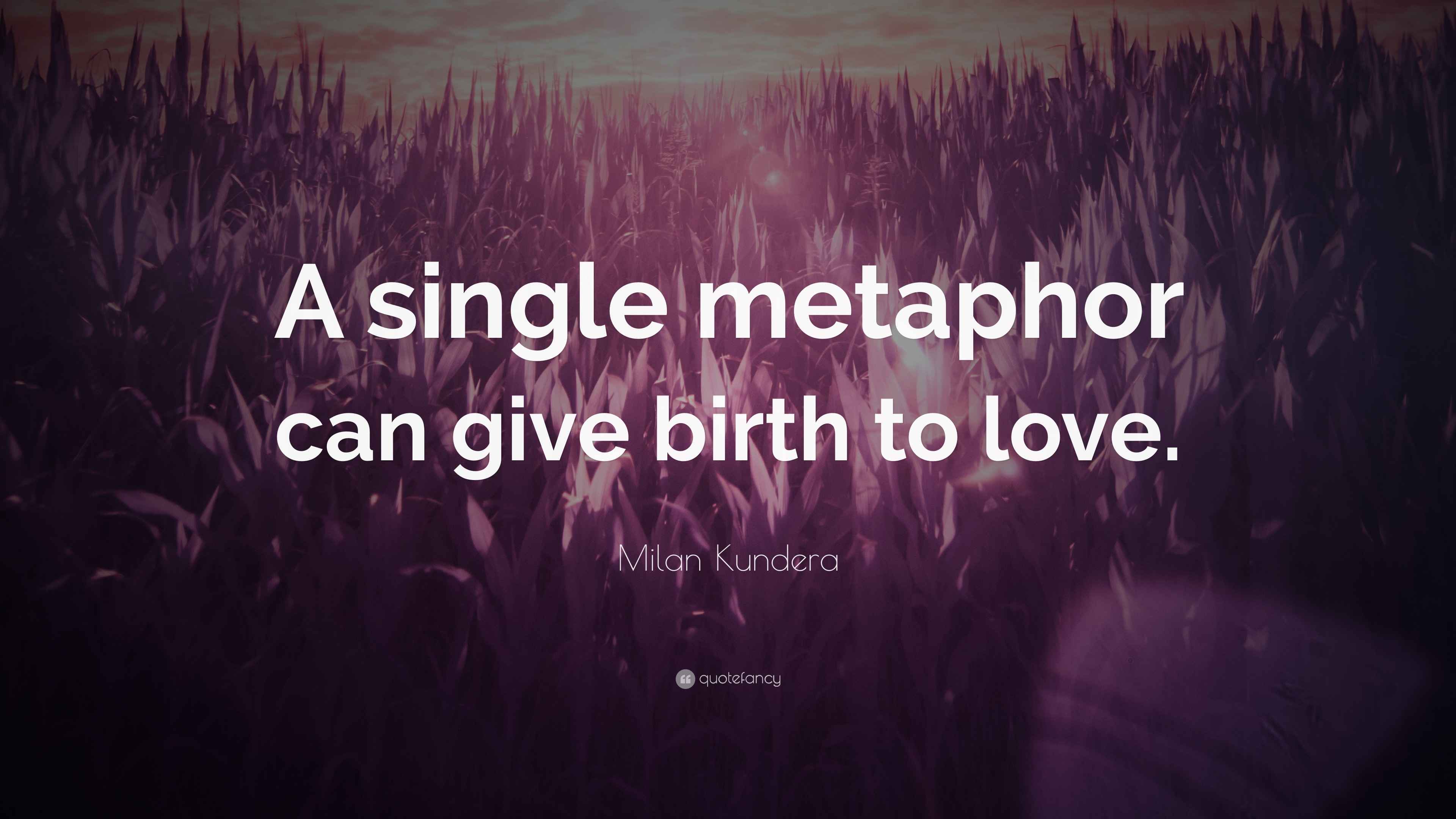 Milan Kundera Quote: “A single metaphor can give birth to love.”