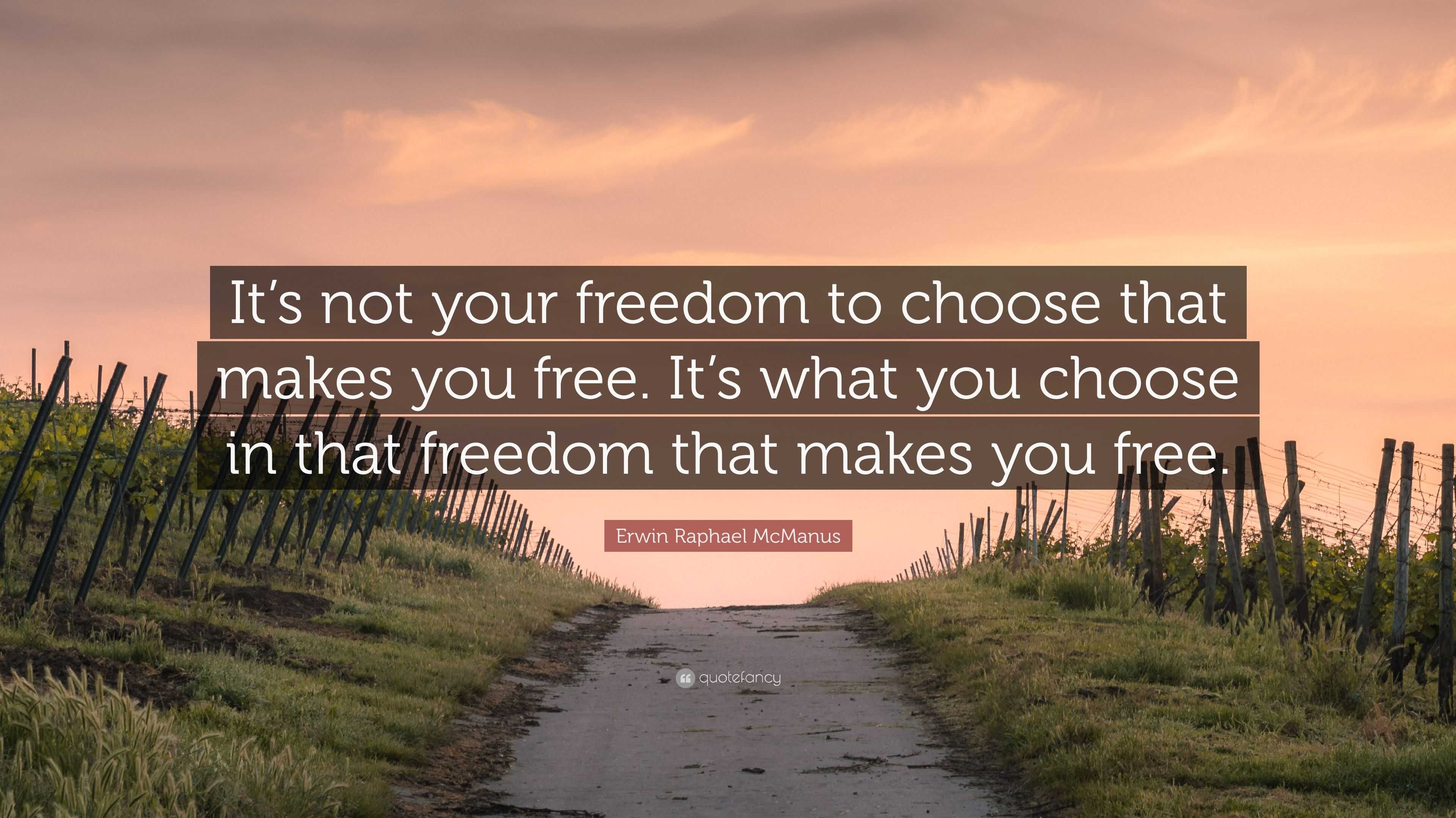 Erwin Raphael McManus Quote: “It’s not your freedom to choose that ...