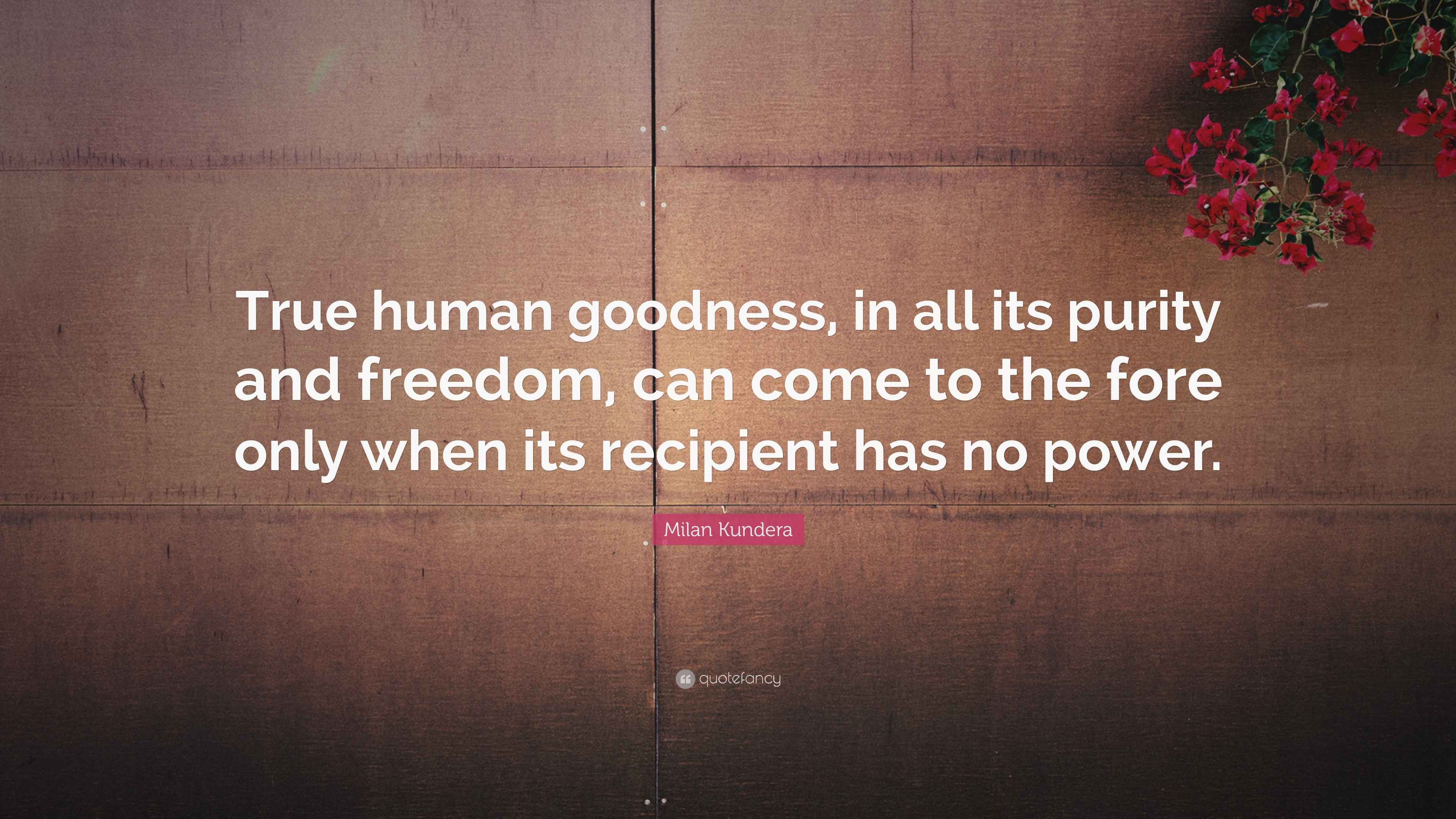 Milan Kundera Quote: “True human goodness, in all its purity and ...