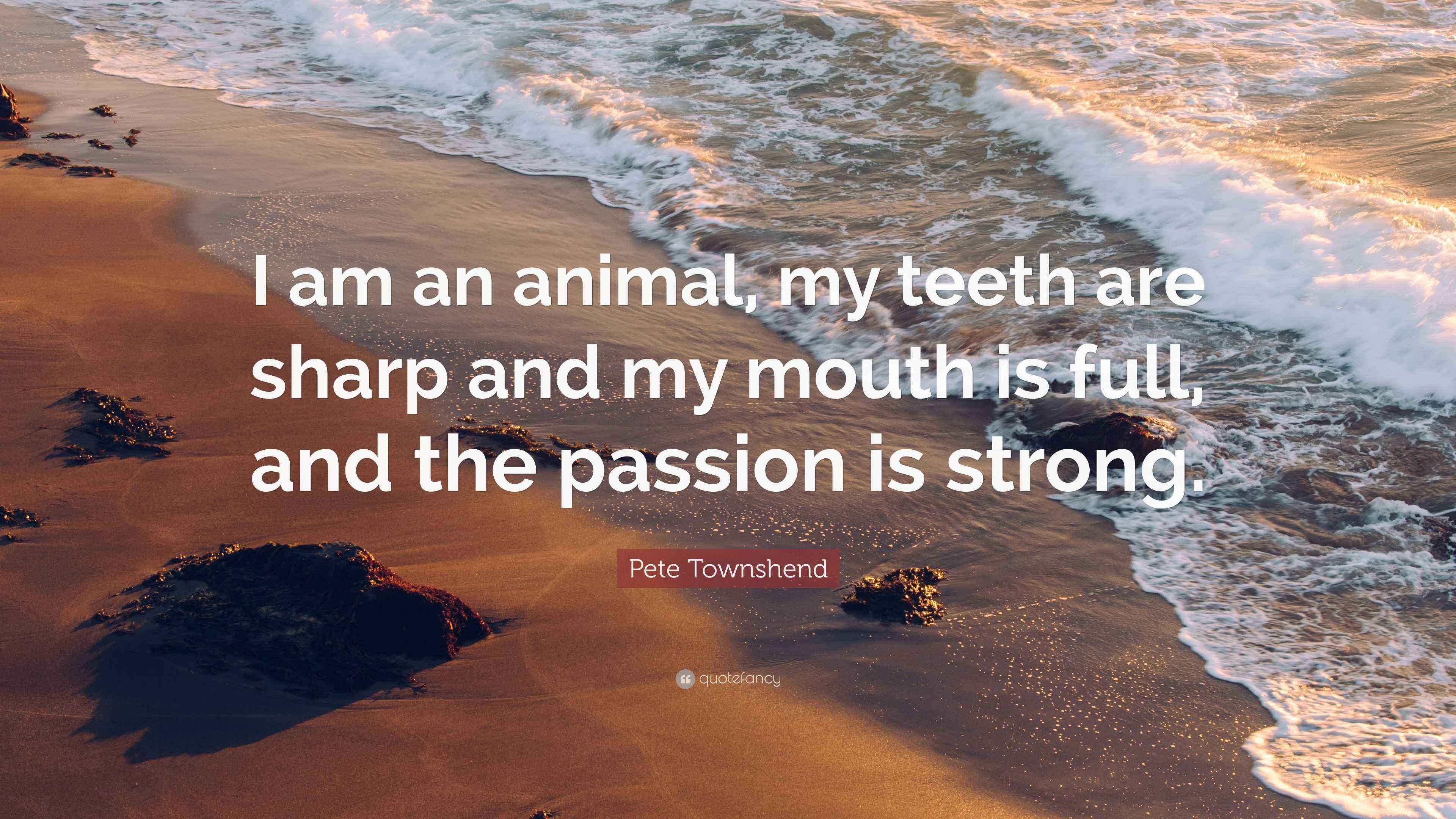 Pete Townshend Quote: “I am an animal, my teeth are sharp and my mouth ...