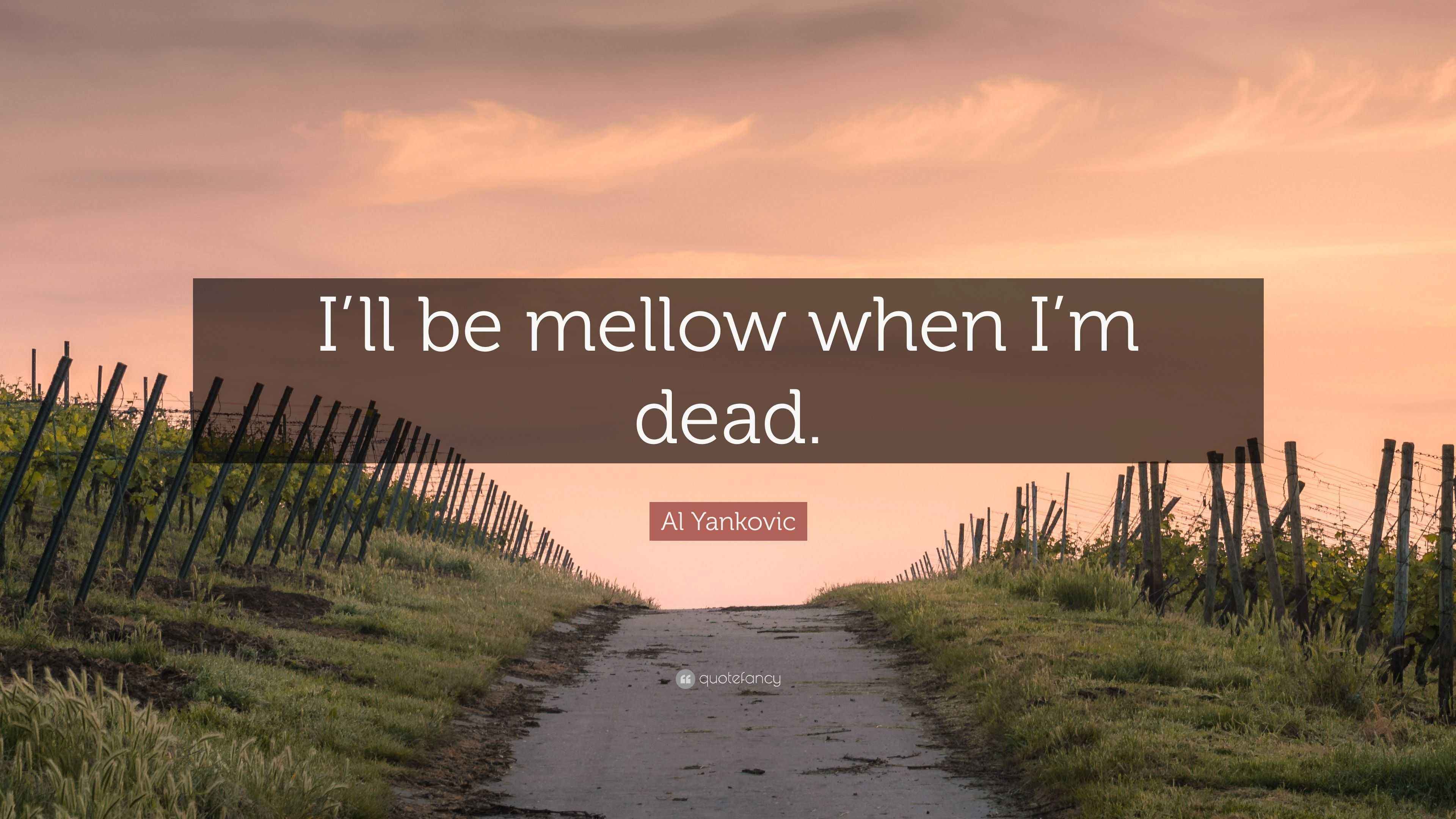 Al Yankovic Quote: “I’ll be mellow when I’m dead.”