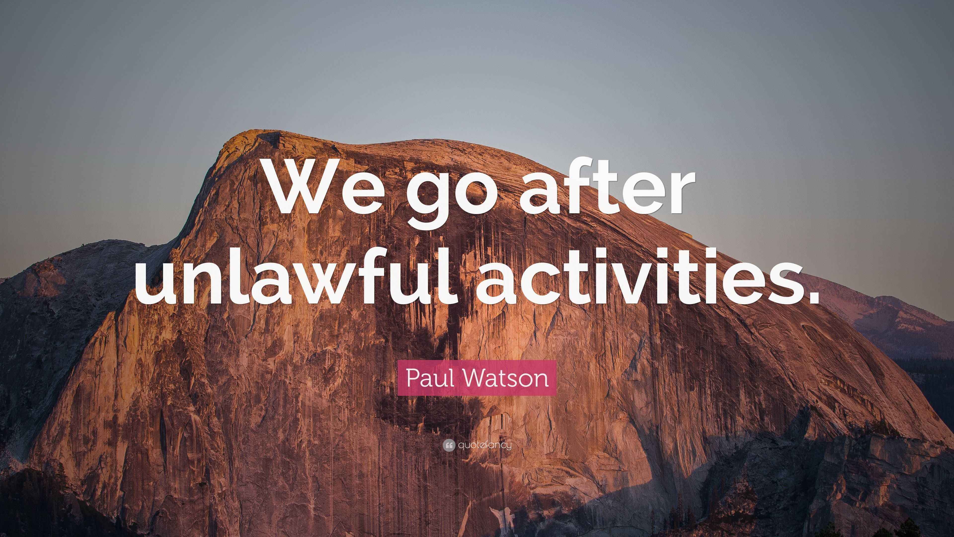 Paul Watson Quote: “We go after unlawful activities.”