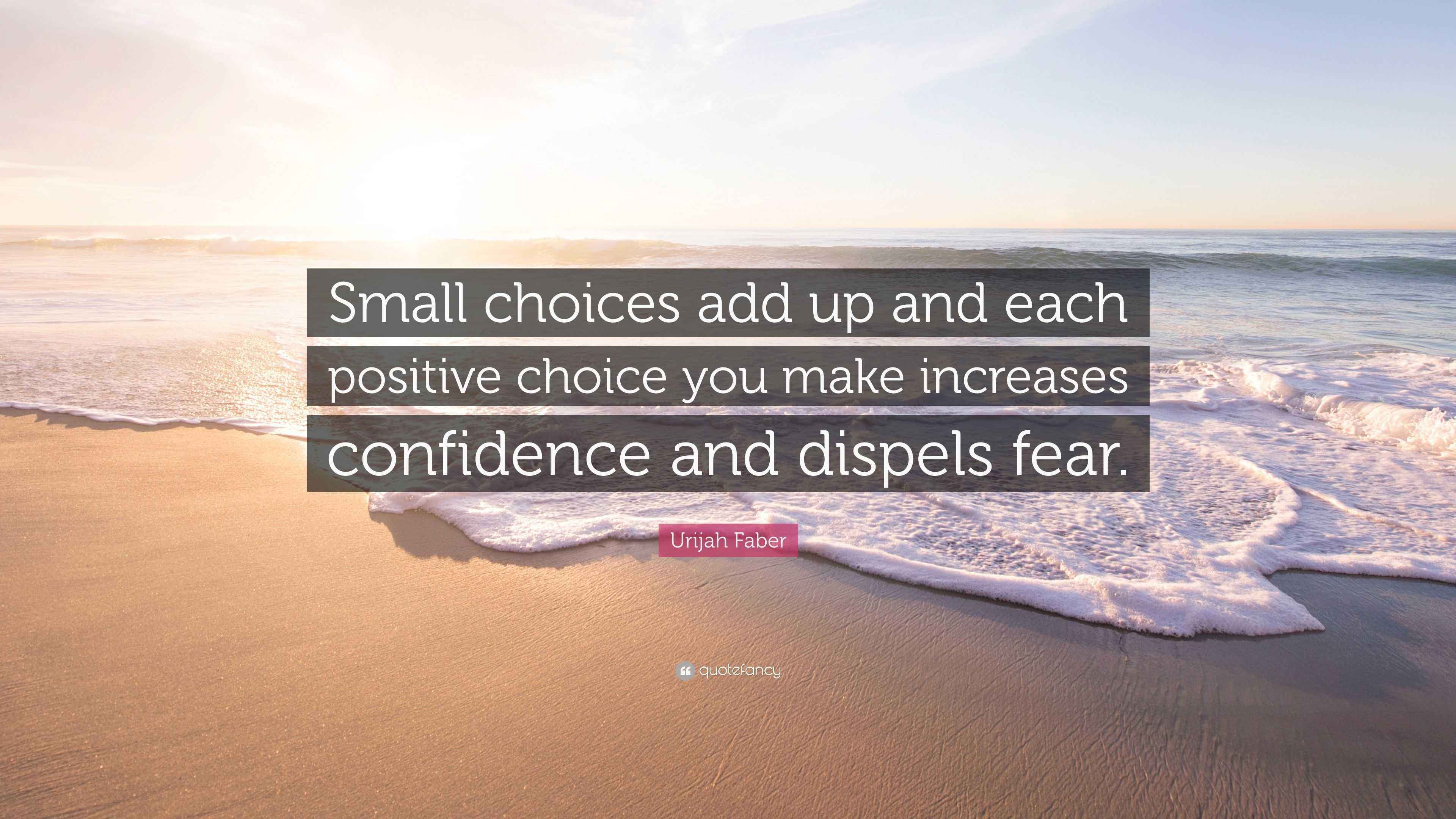Urijah Faber Quote: “Small choices add up and each positive choice you ...