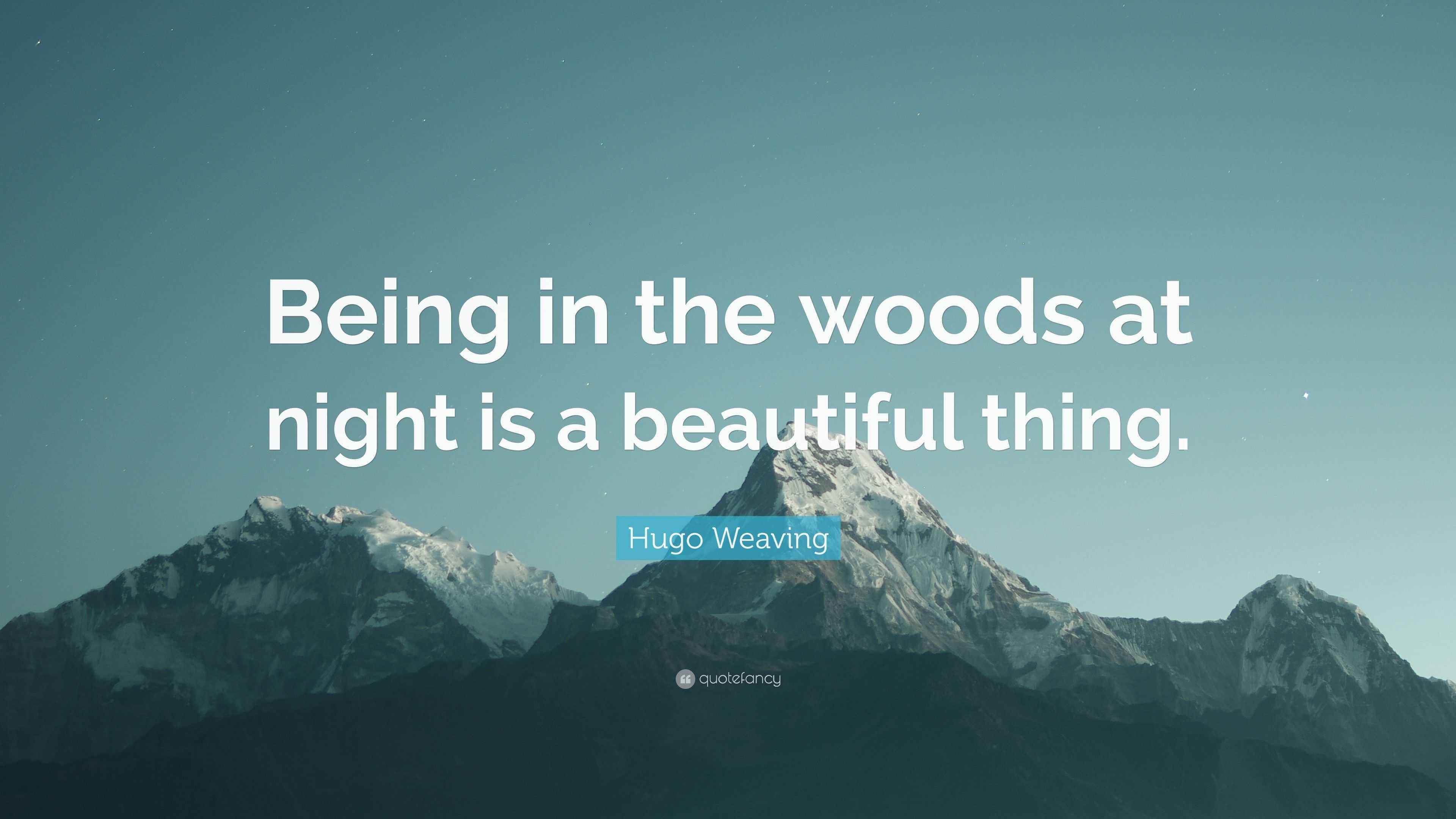 Hugo Weaving Quote: “Being in the woods at night is a beautiful thing.”