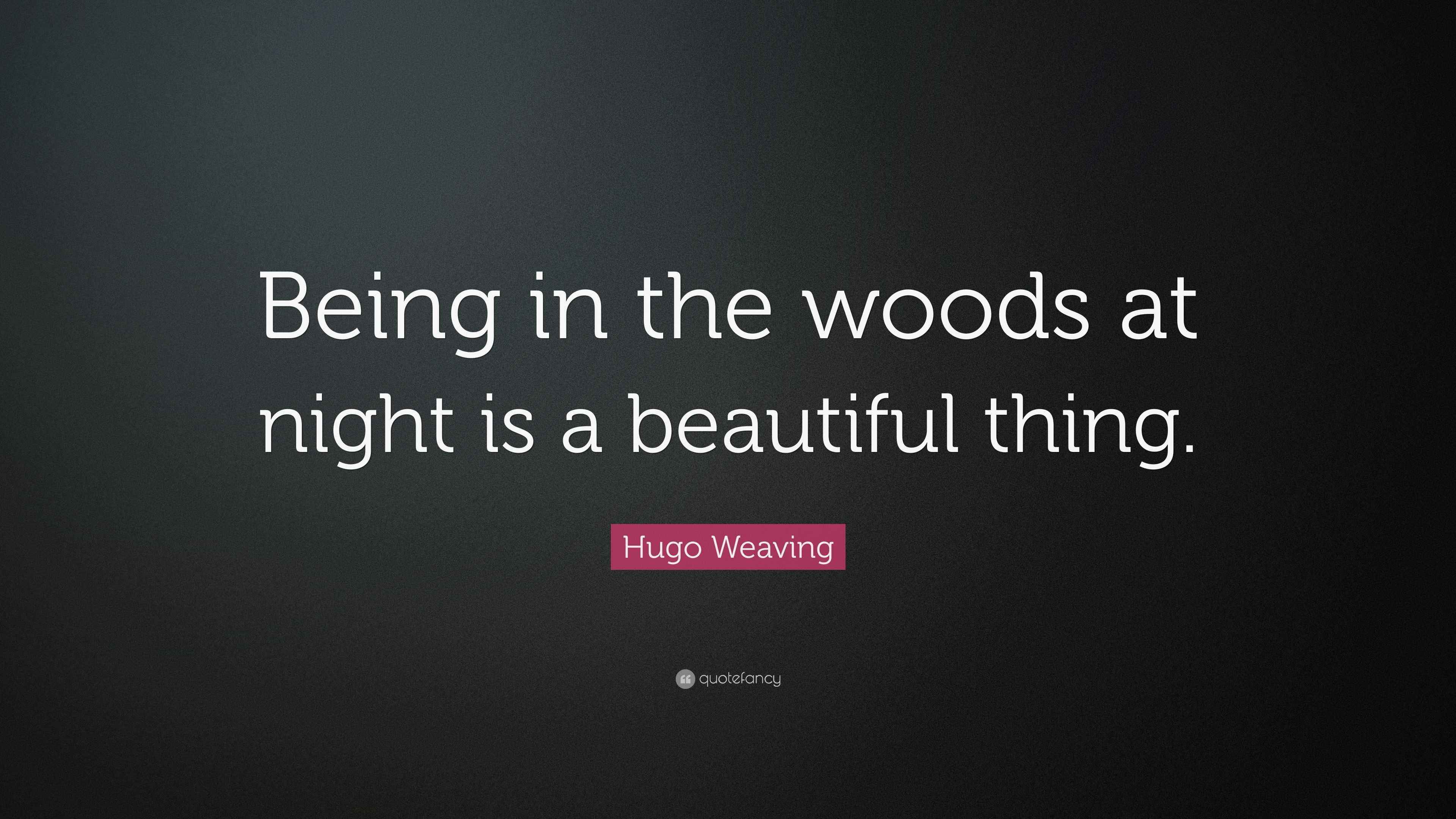 Hugo Weaving Quote: “Being in the woods at night is a beautiful thing.”