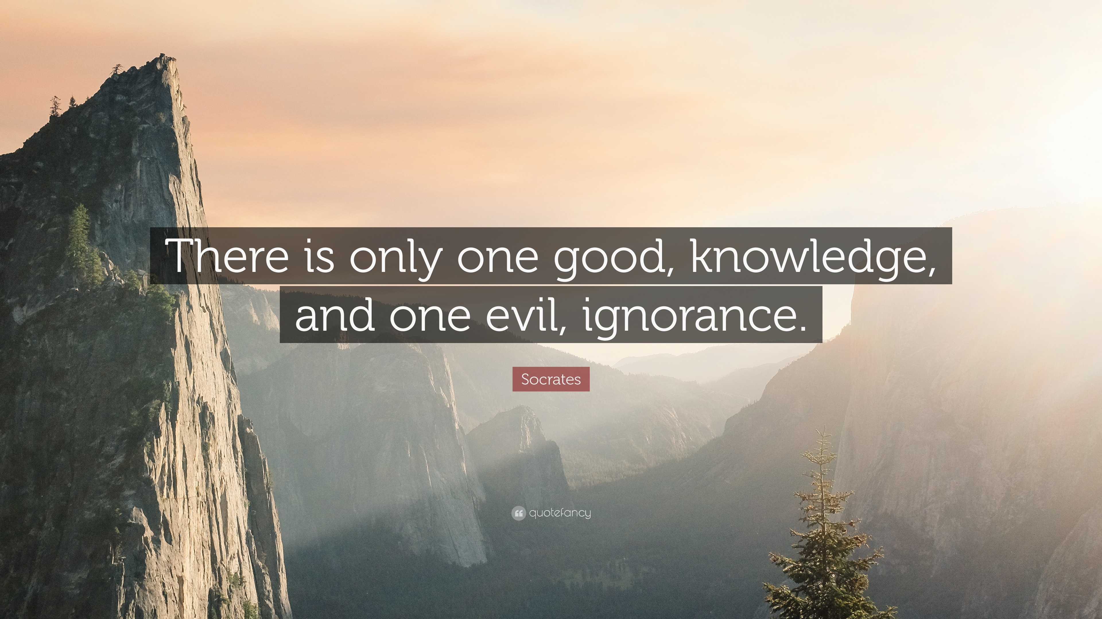 Socrates Quote: “There is only one good, knowledge, and one evil ...