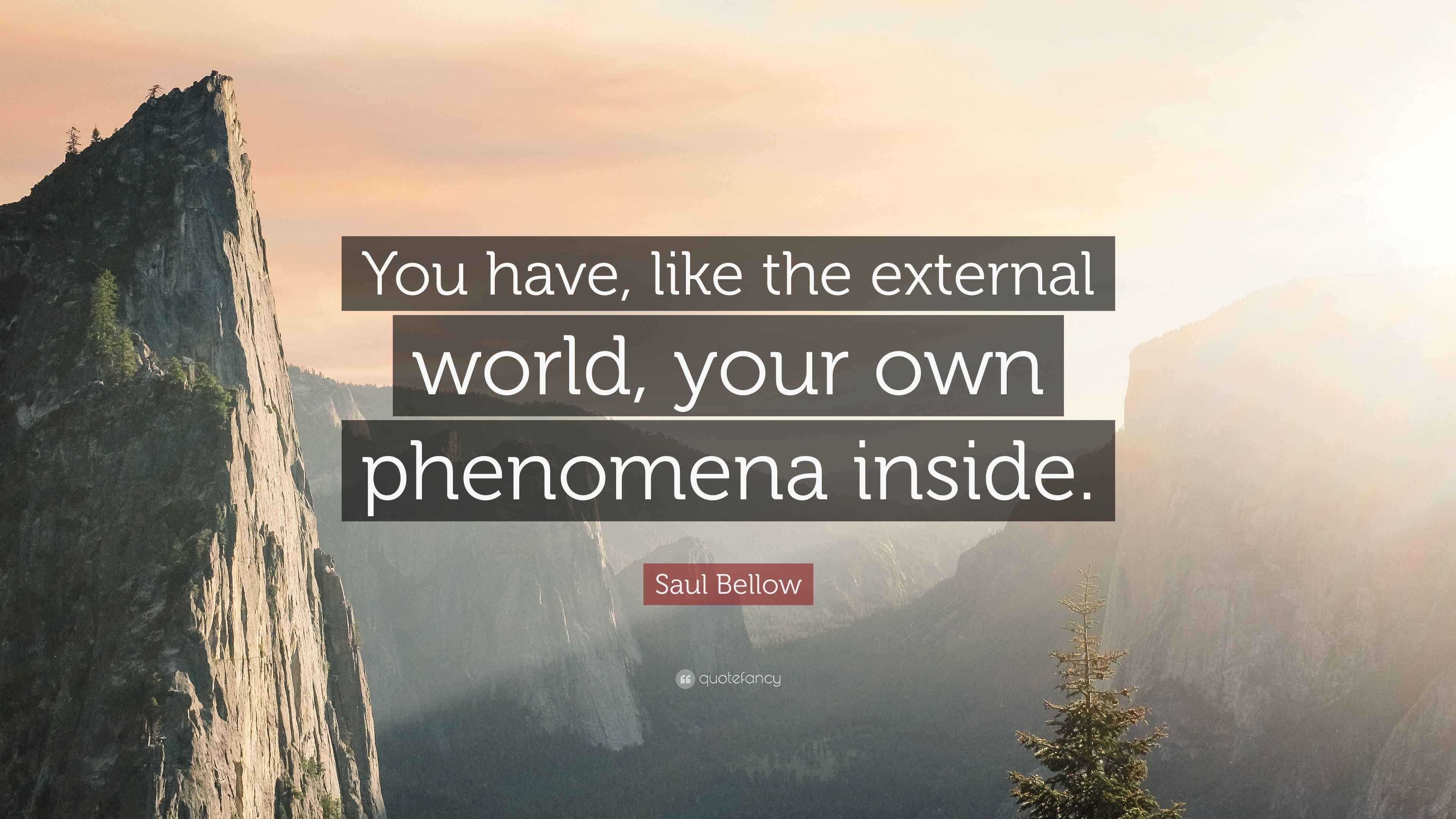Saul Bellow Quote: “You have, like the external world, your own ...