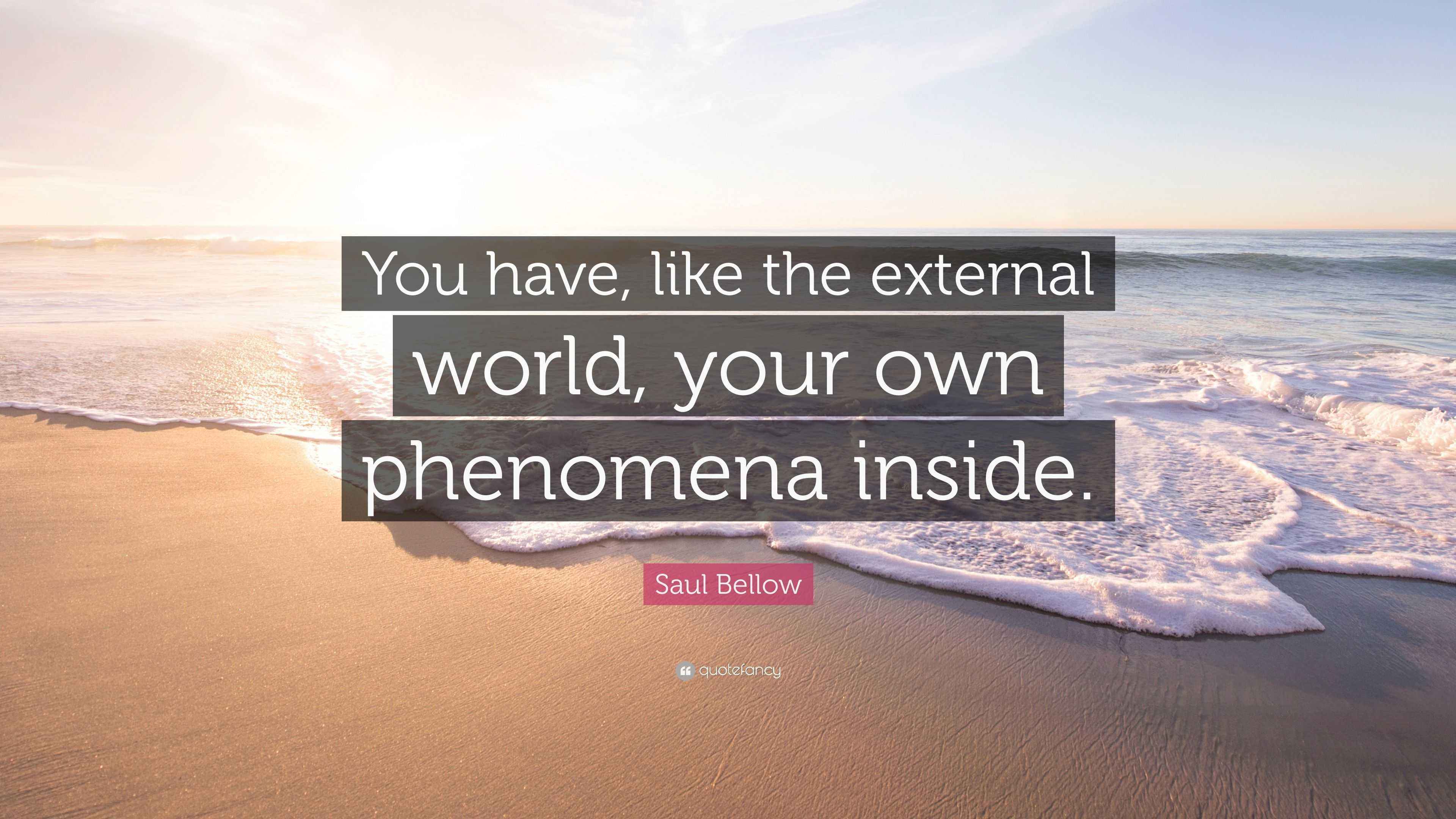 Saul Bellow Quote: “You have, like the external world, your own ...