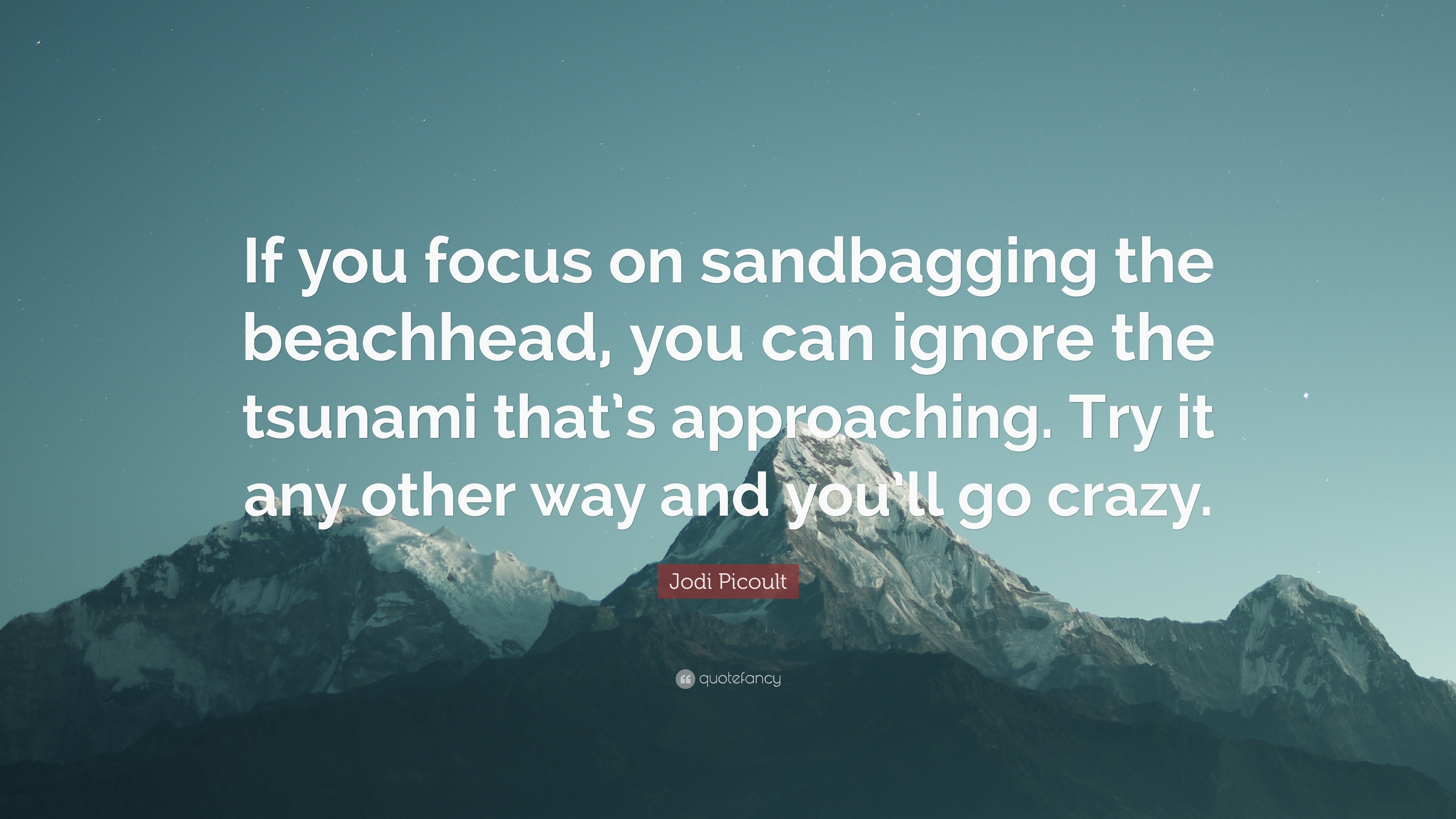 Jodi Picoult Quote: “If you focus on sandbagging the beachhead, you can ...