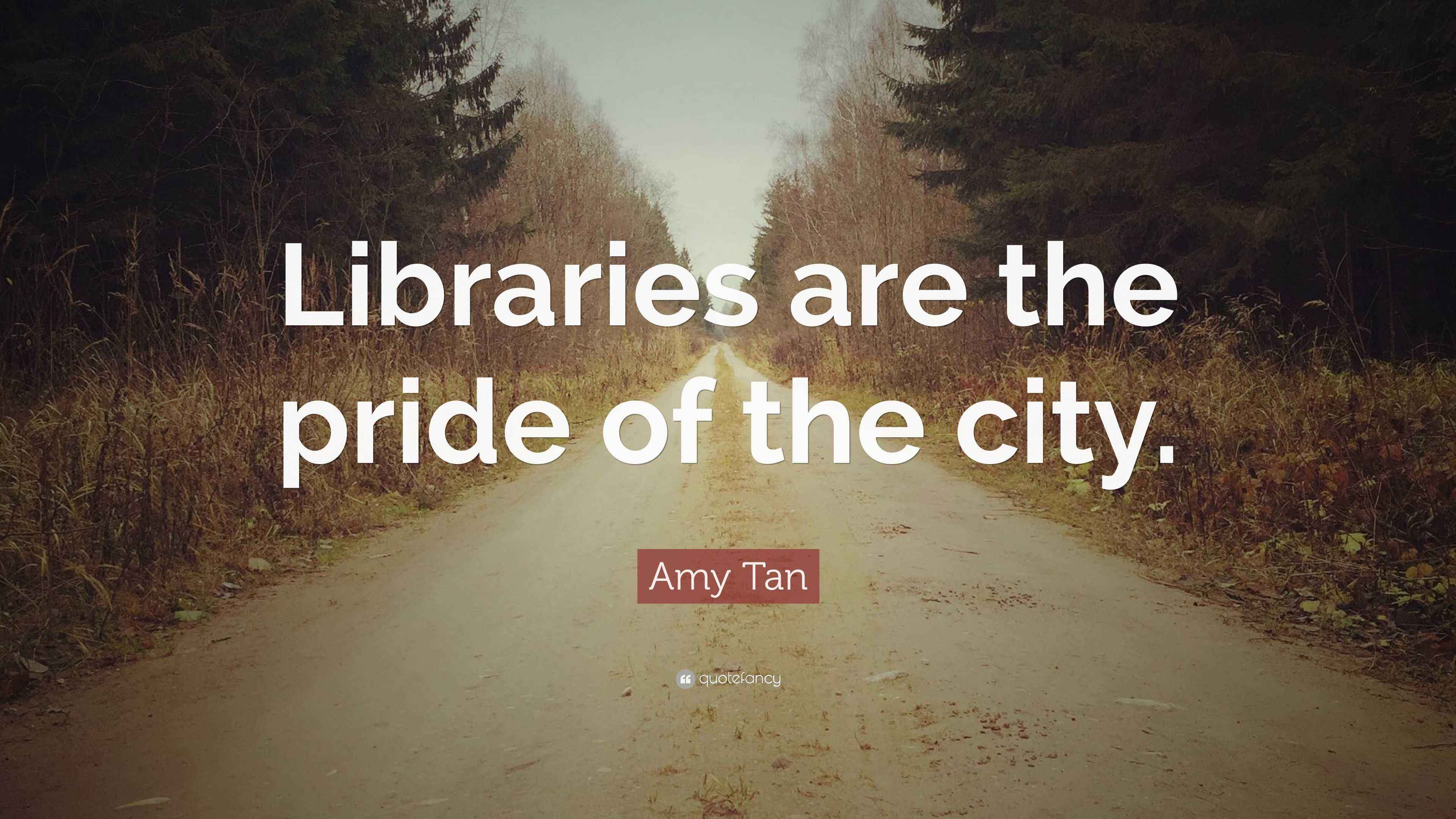 Amy Tan Quote: “Libraries are the pride of the city.”