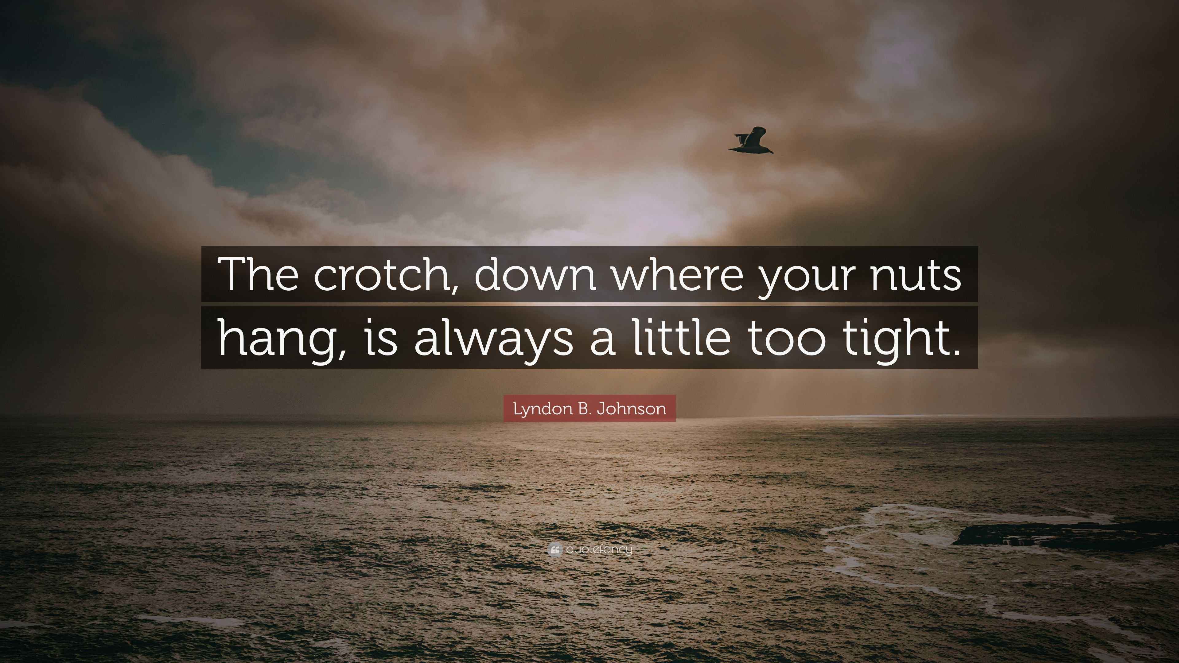 Lyndon B. Johnson Quote: “The crotch, down where your nuts hang, is ...