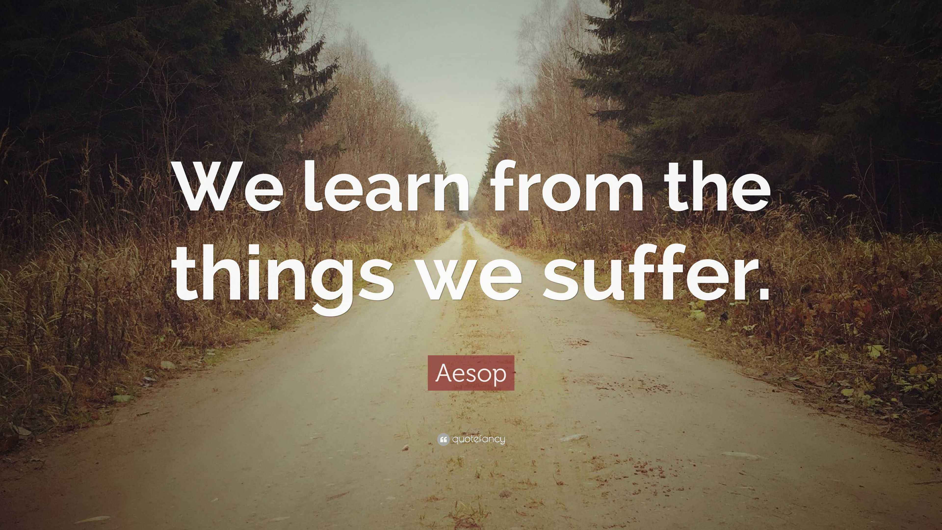 Aesop Quote: “We learn from the things we suffer.”