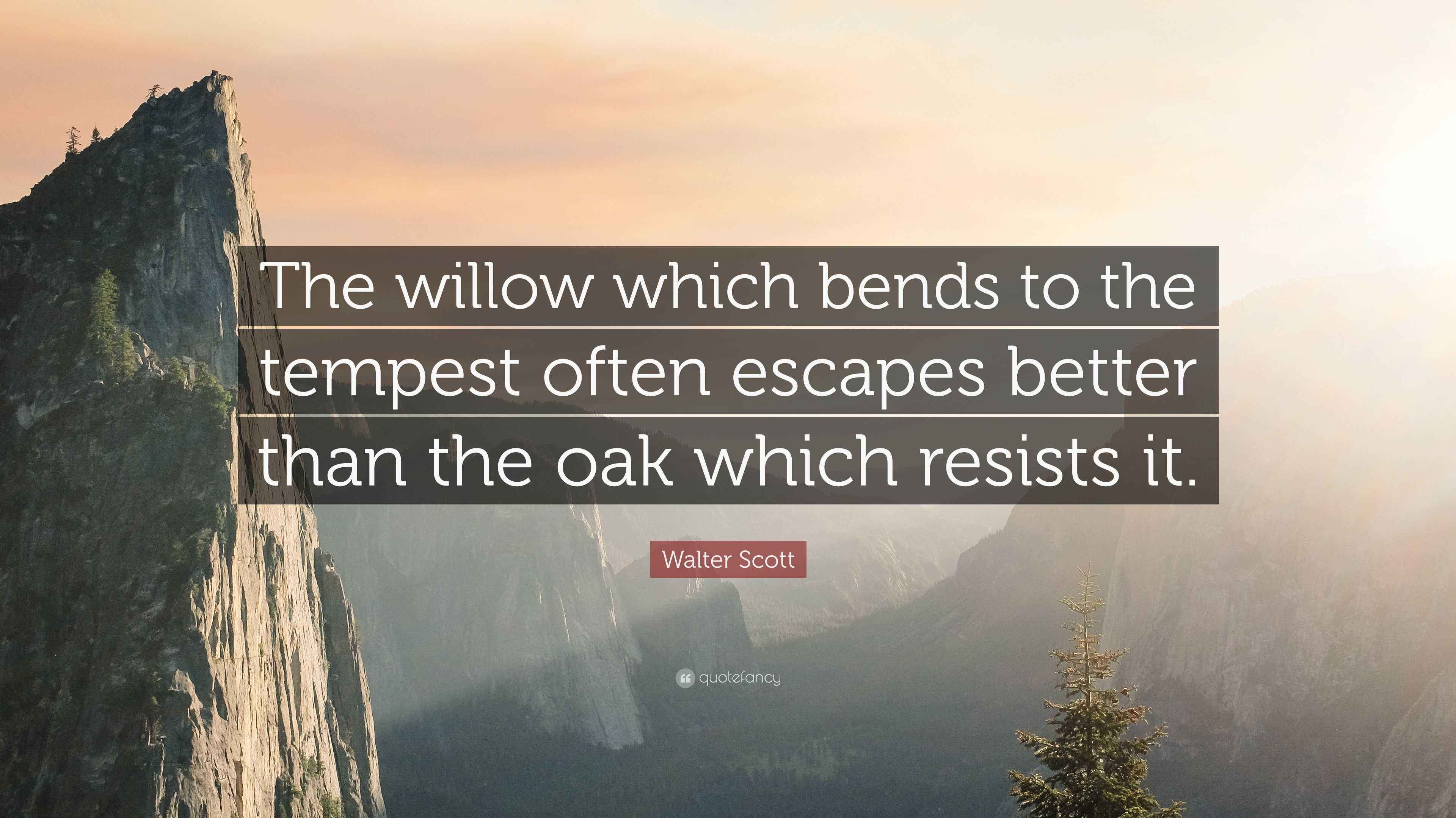 Walter Scott Quote: “The willow which bends to the tempest often ...