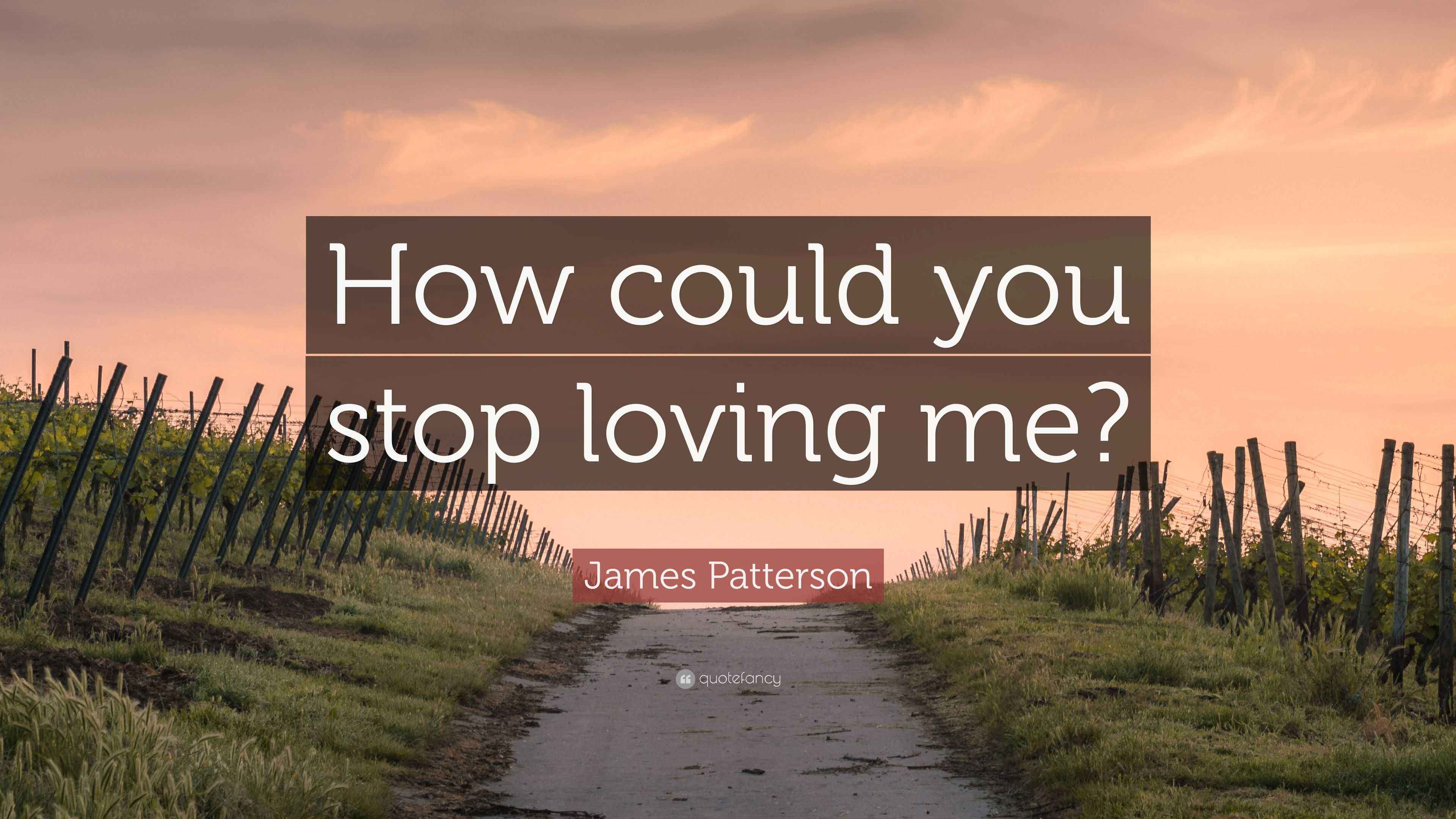 James Patterson Quote: “How could you stop loving me?”