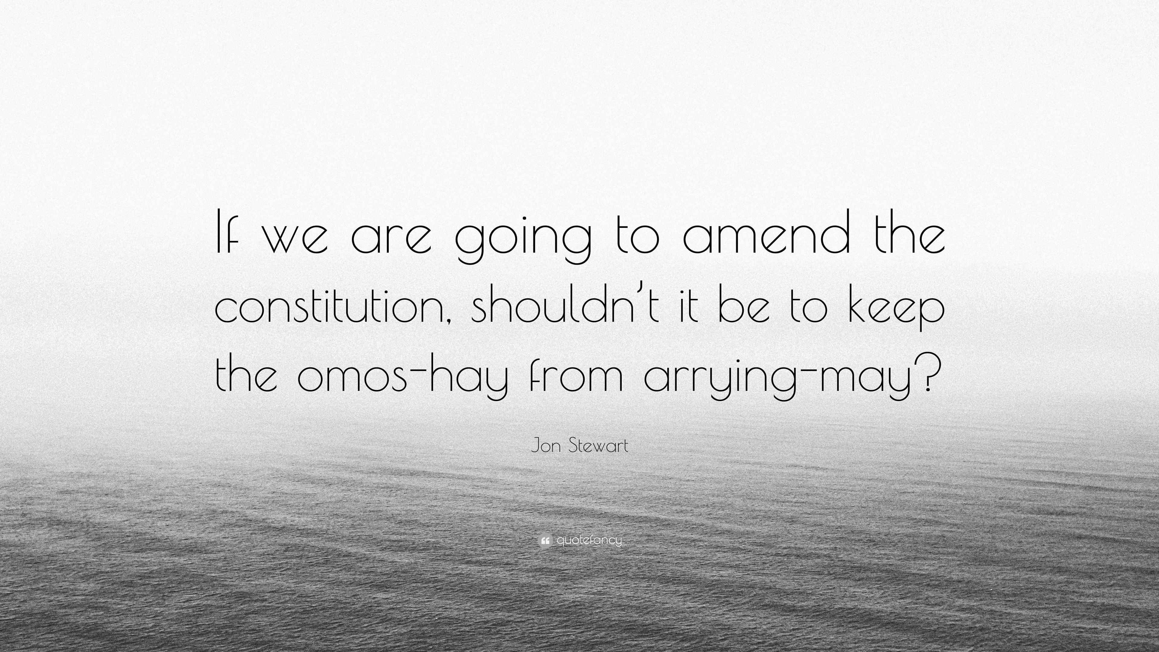 Jon Stewart Quote: “If we are going to amend the constitution, shouldn ...