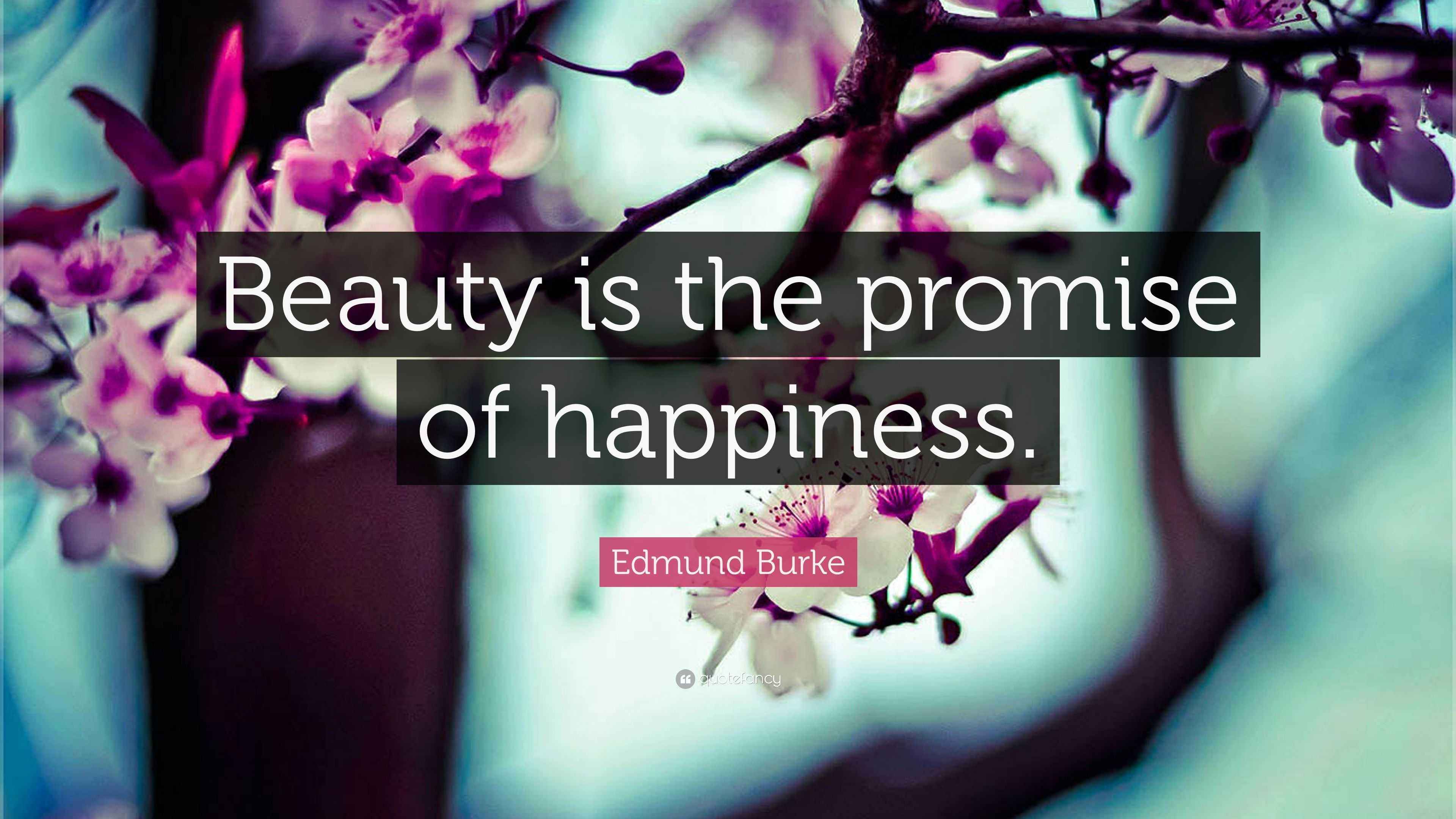 Edmund Burke Quote: “Beauty is the promise of happiness.”