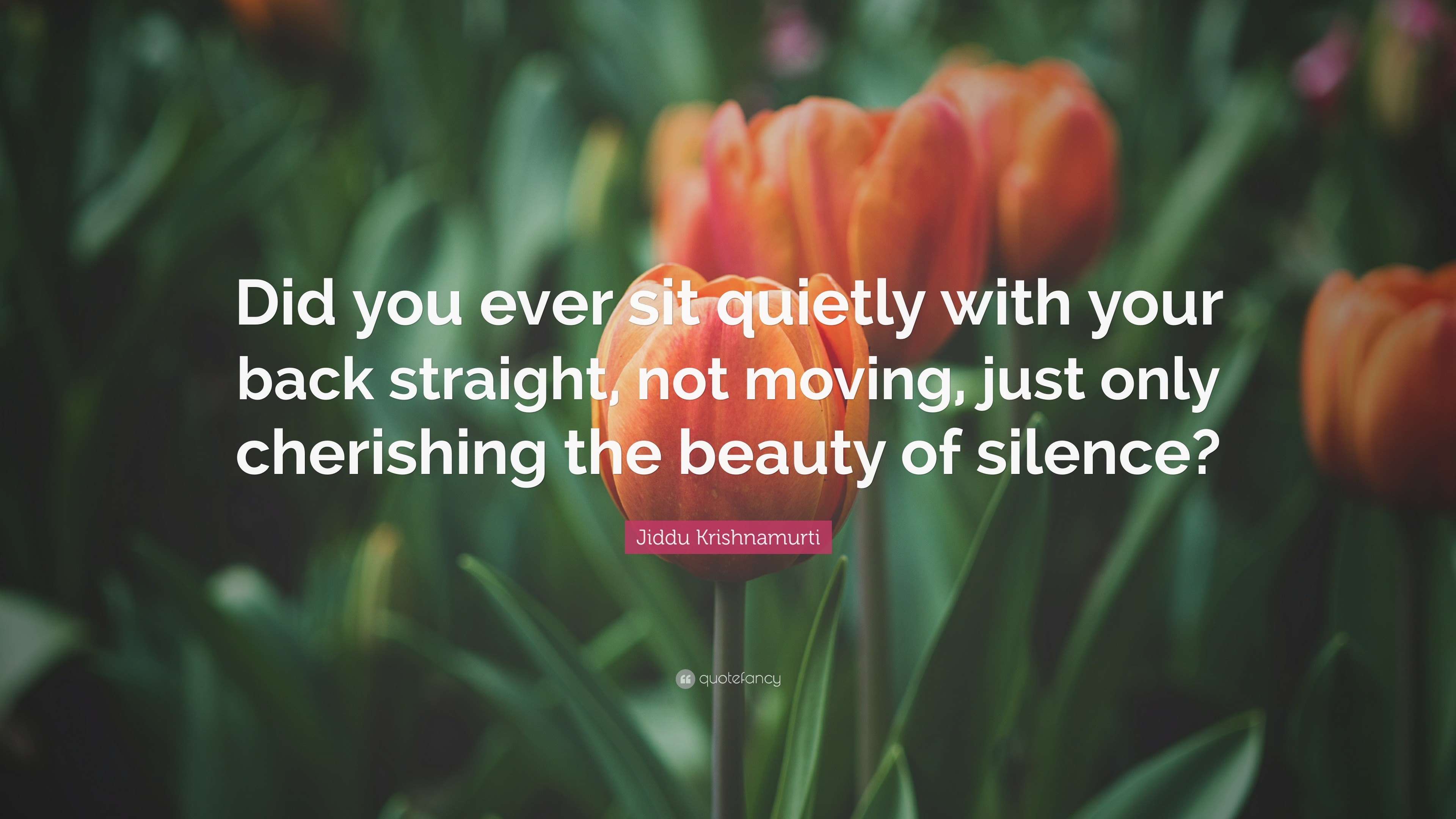 Jiddu Krishnamurti Quote: “Did you ever sit quietly with your back ...