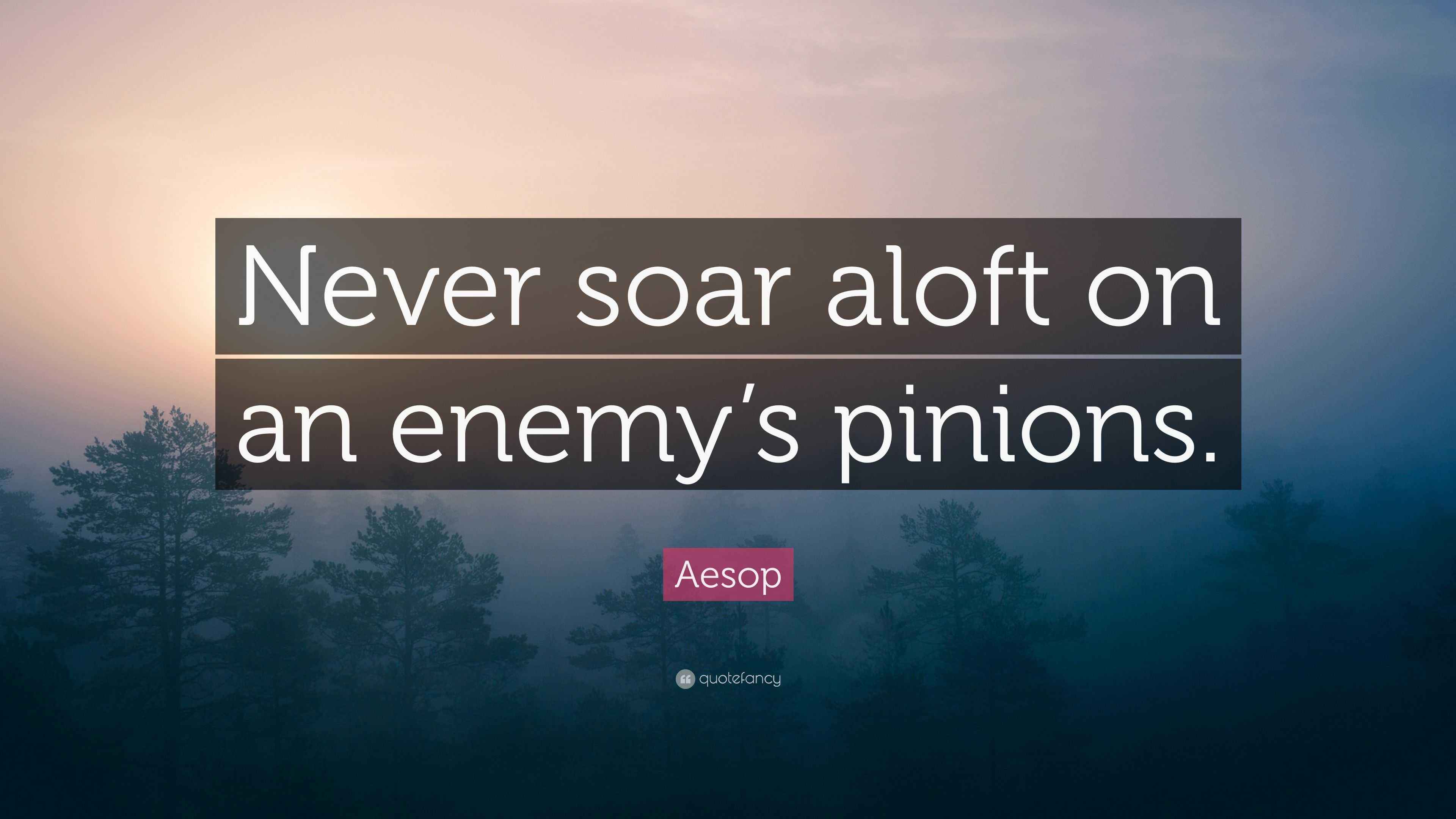 Aesop Quote: “Never soar aloft on an enemy’s pinions.”
