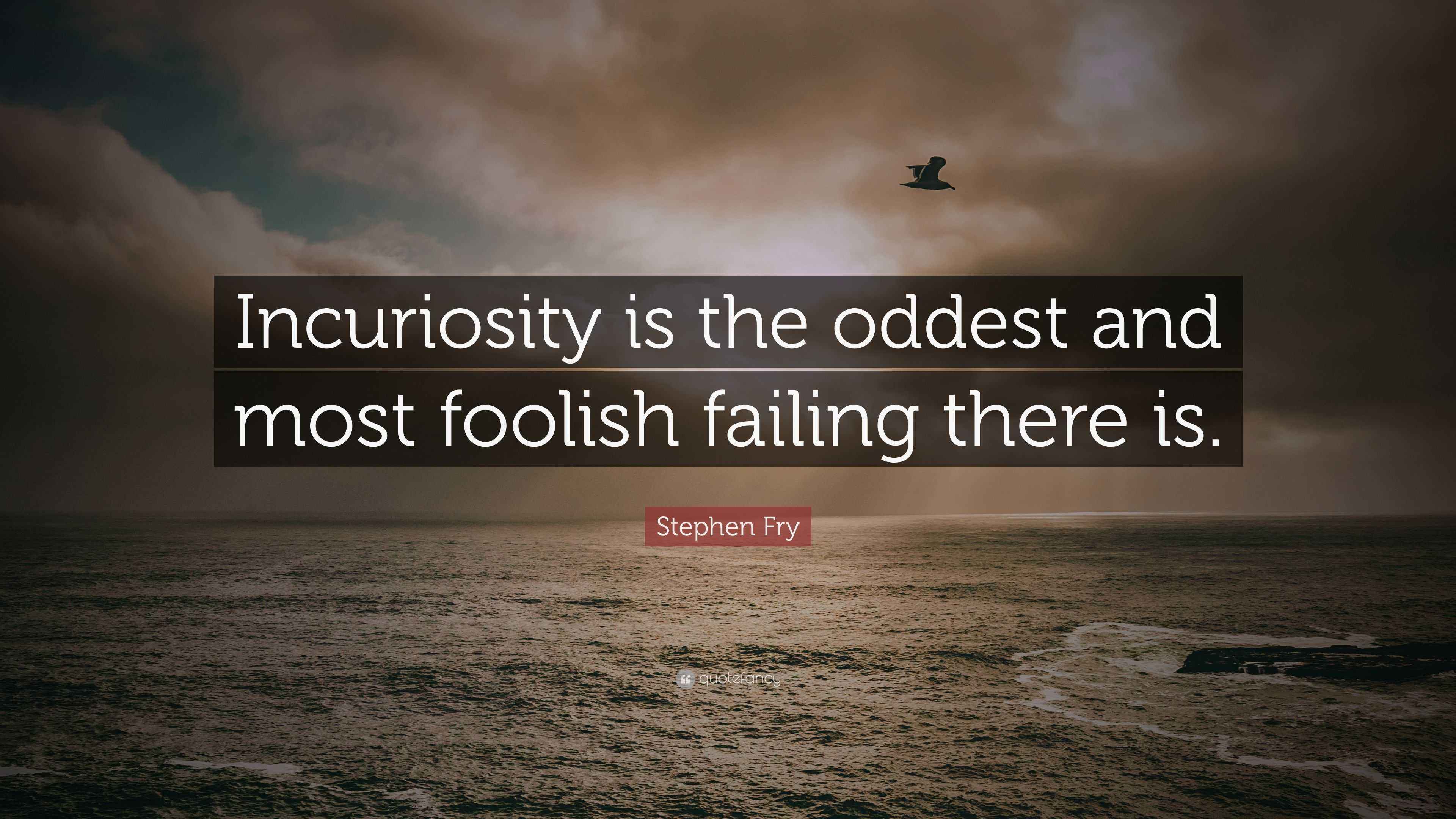 Stephen Fry Quote: “Incuriosity is the oddest and most foolish failing ...