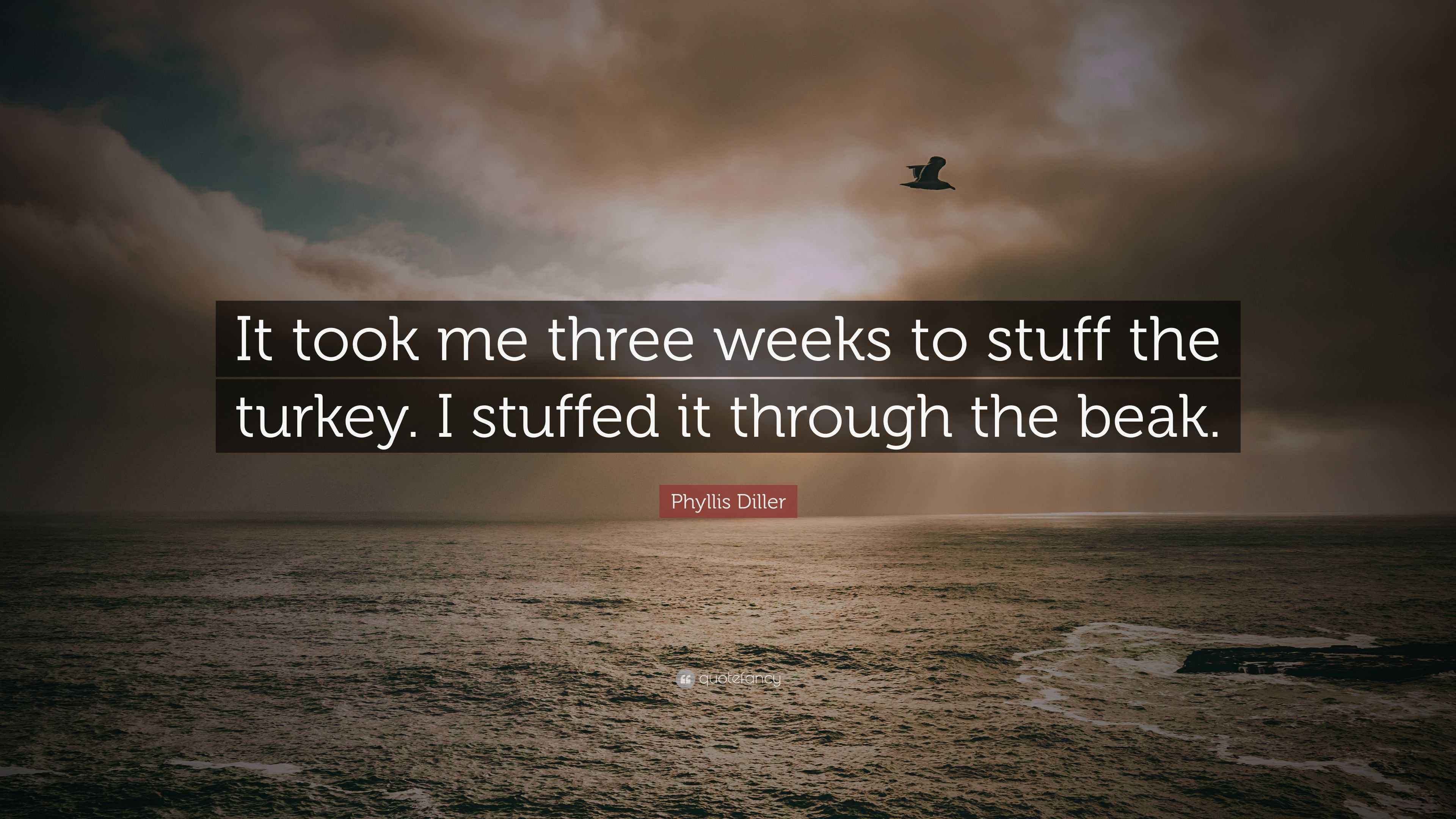 Phyllis Diller Quote: “It took me three weeks to stuff the turkey. I ...