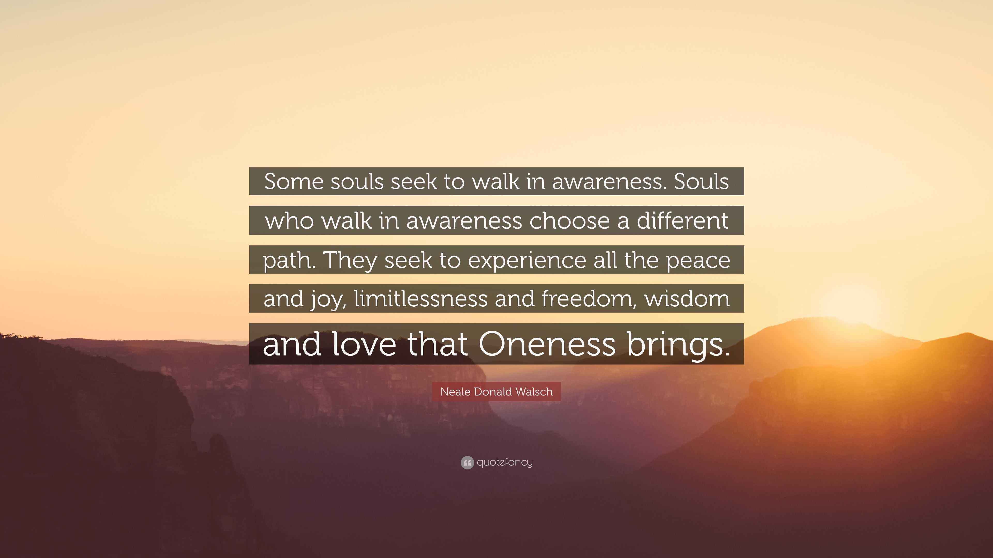 Neale Donald Walsch Quote: “Some souls seek to walk in awareness. Souls ...