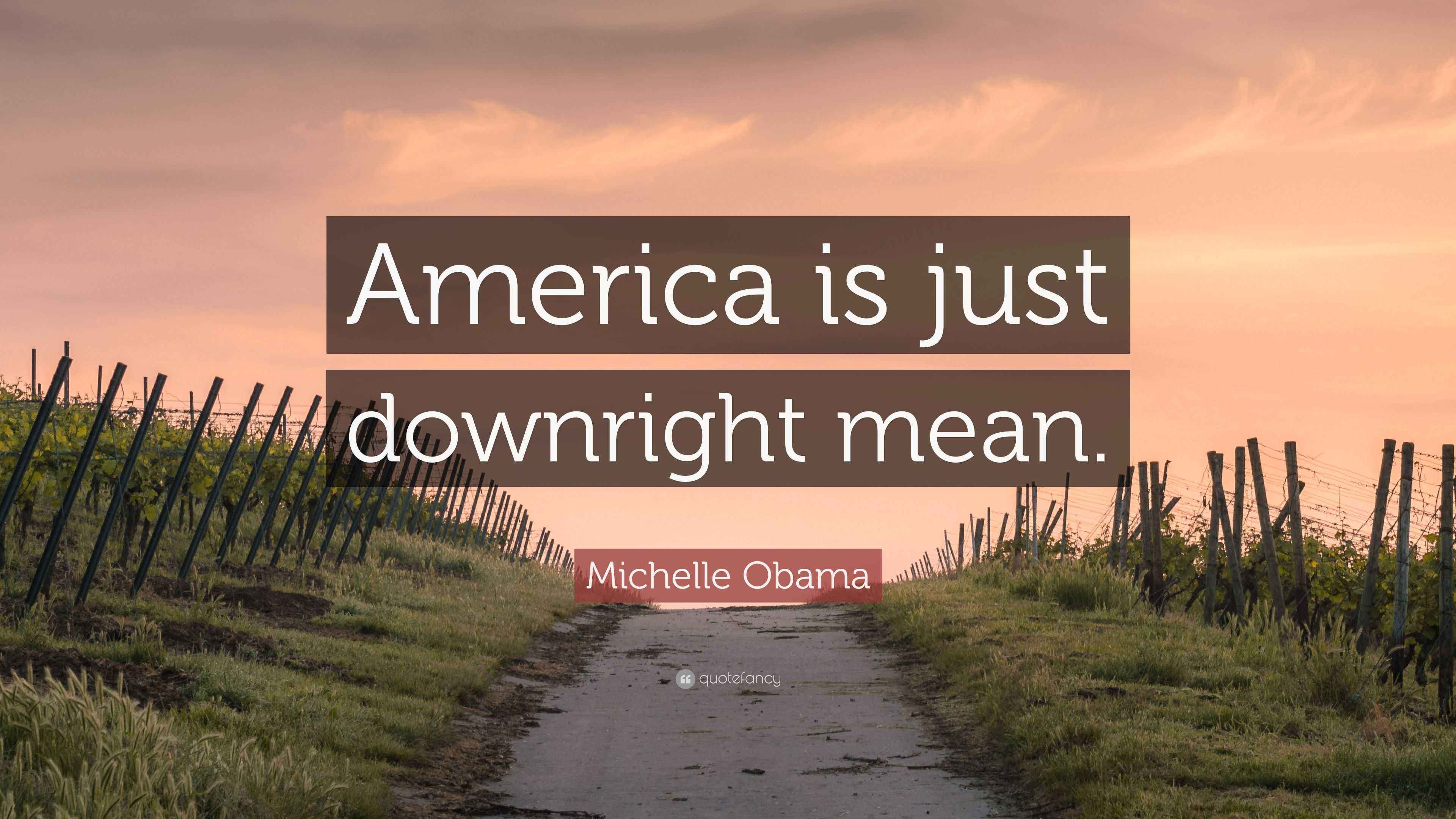 Michelle Obama Quote: “America is just downright mean.”