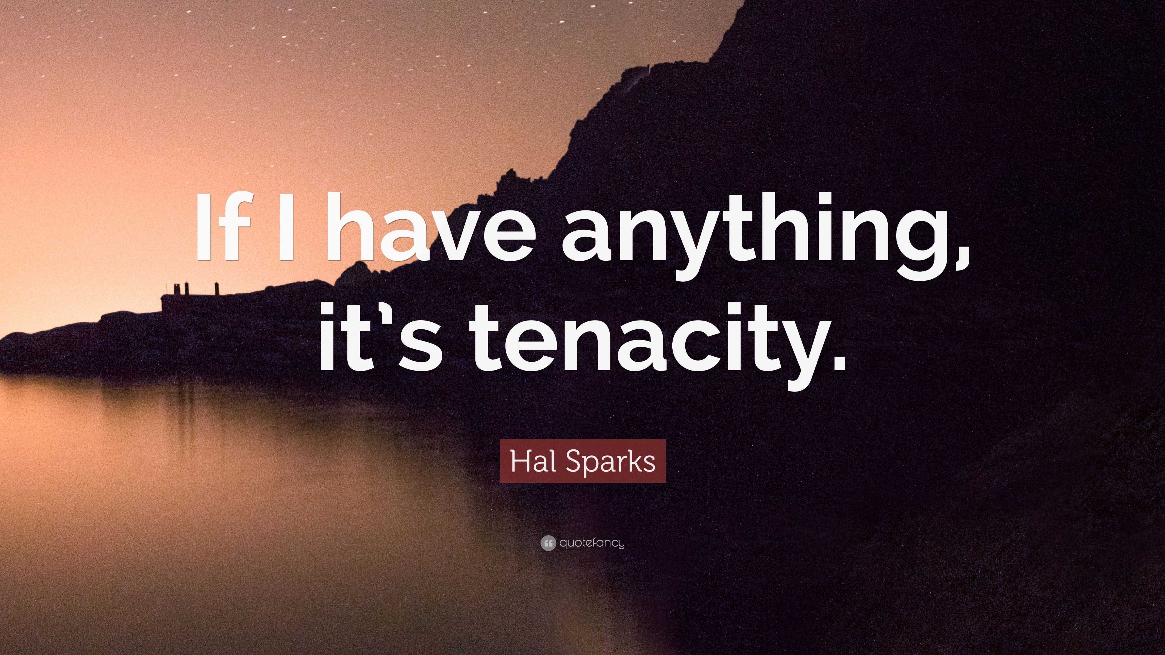 Hal Sparks Quote: “If I have anything, it’s tenacity.”