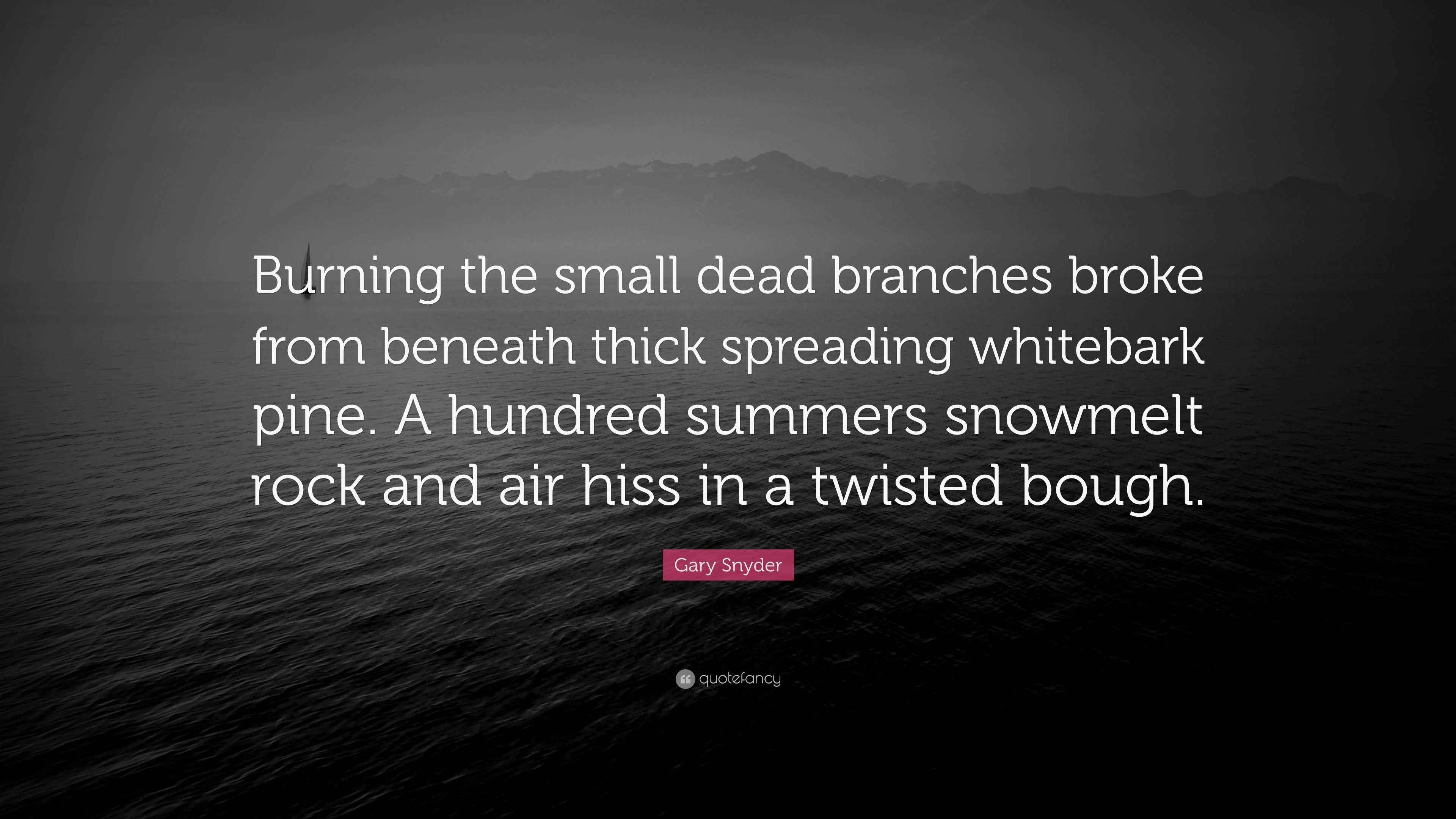 Gary Snyder Quote: “Burning the small dead branches broke from beneath ...