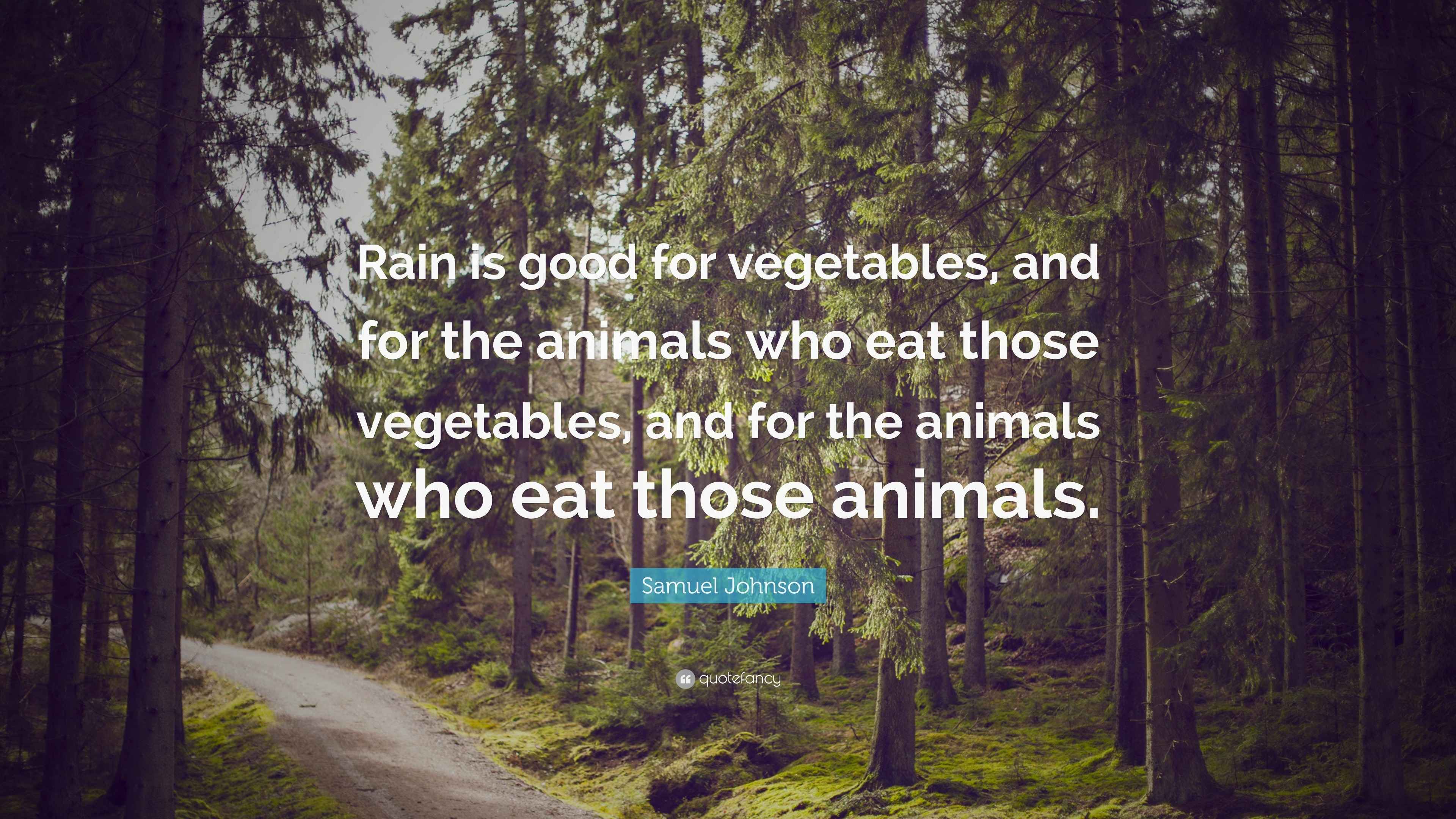 Samuel Johnson Quote: “Rain is good for vegetables, and for the animals ...