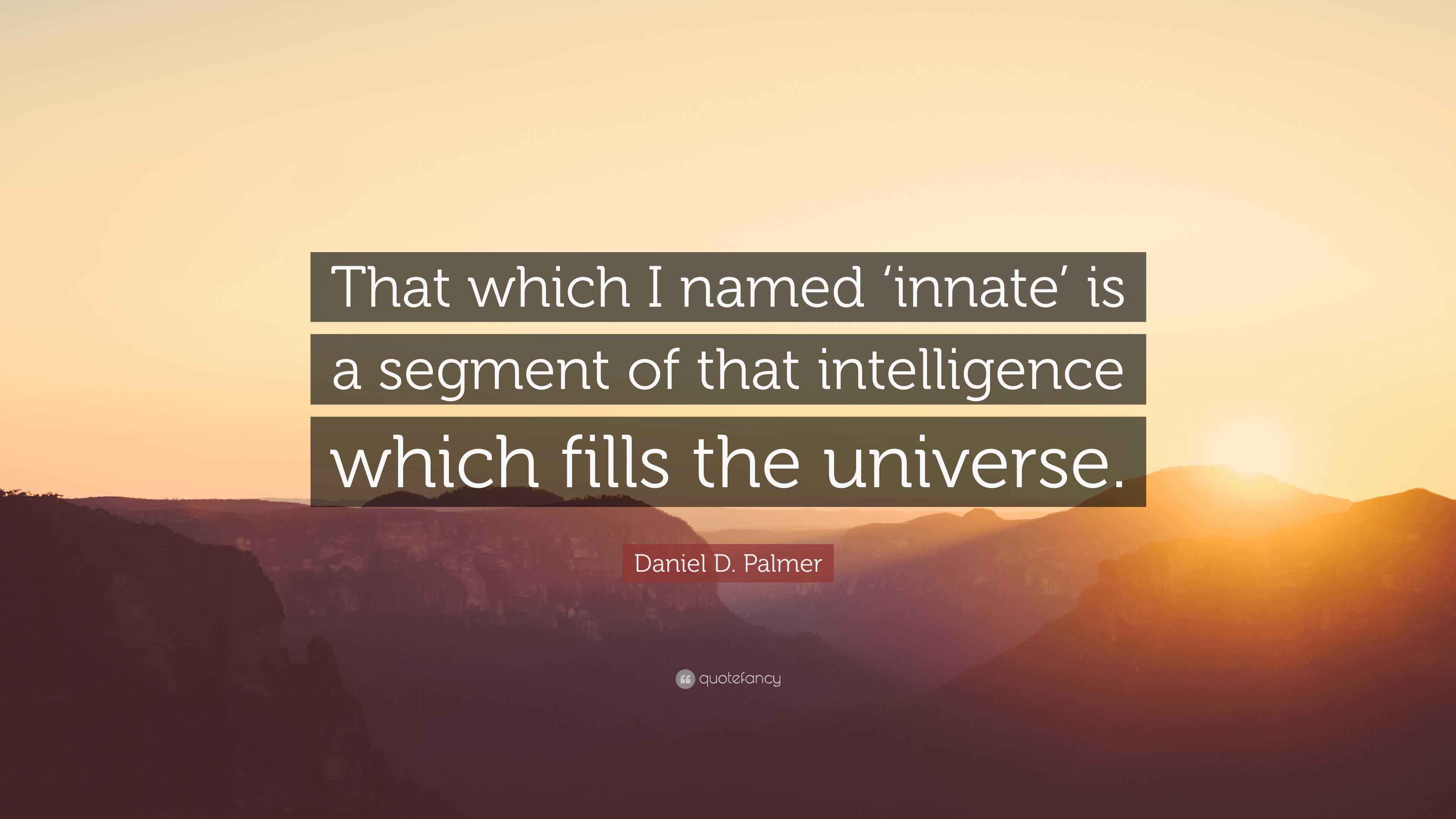 Daniel D. Palmer Quote: “That which I named ‘innate’ is a segment of ...