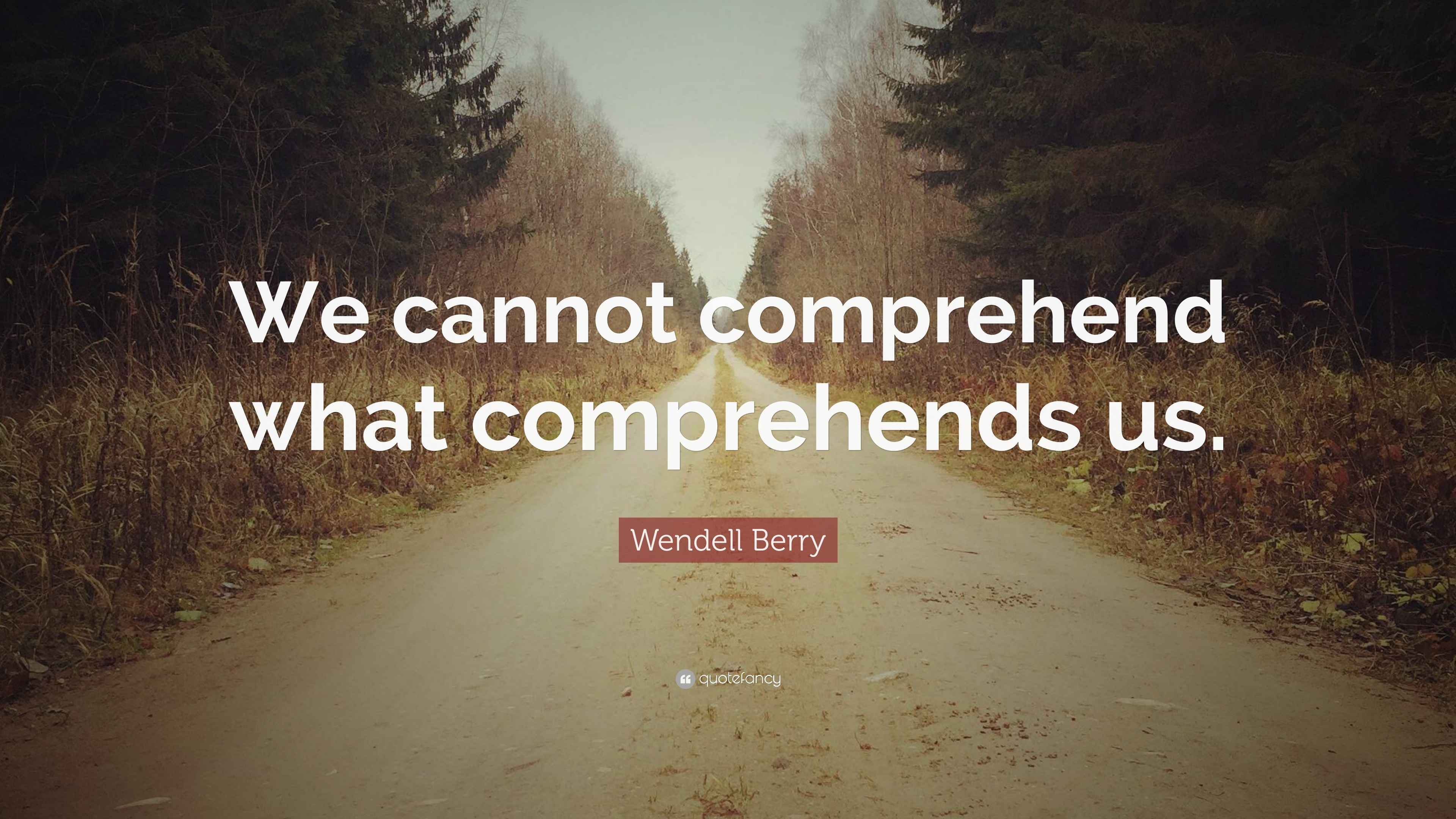 Wendell Berry Quote: “We cannot comprehend what comprehends us.”