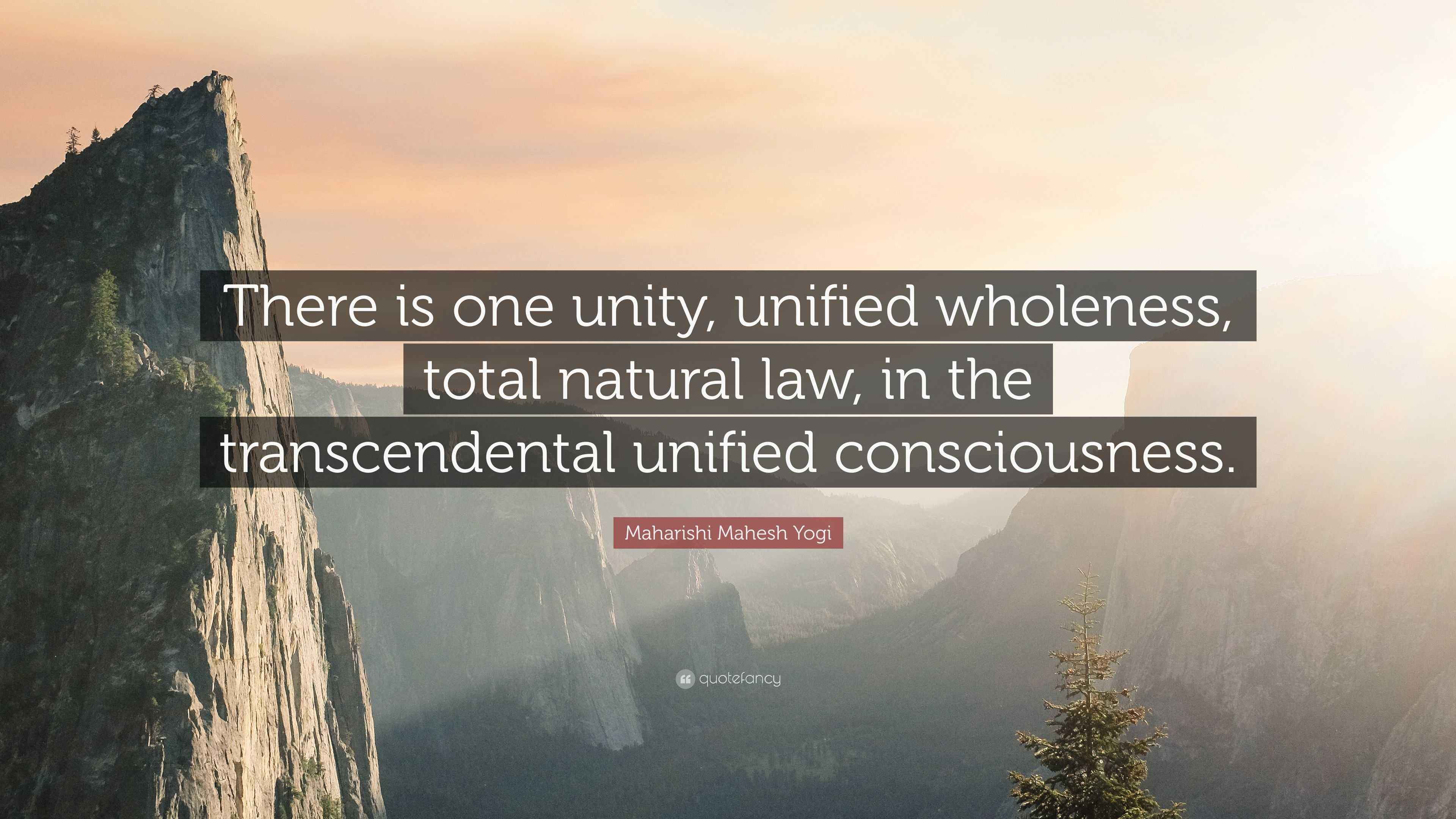 Maharishi Mahesh Yogi Quote: “There is one unity, unified wholeness ...