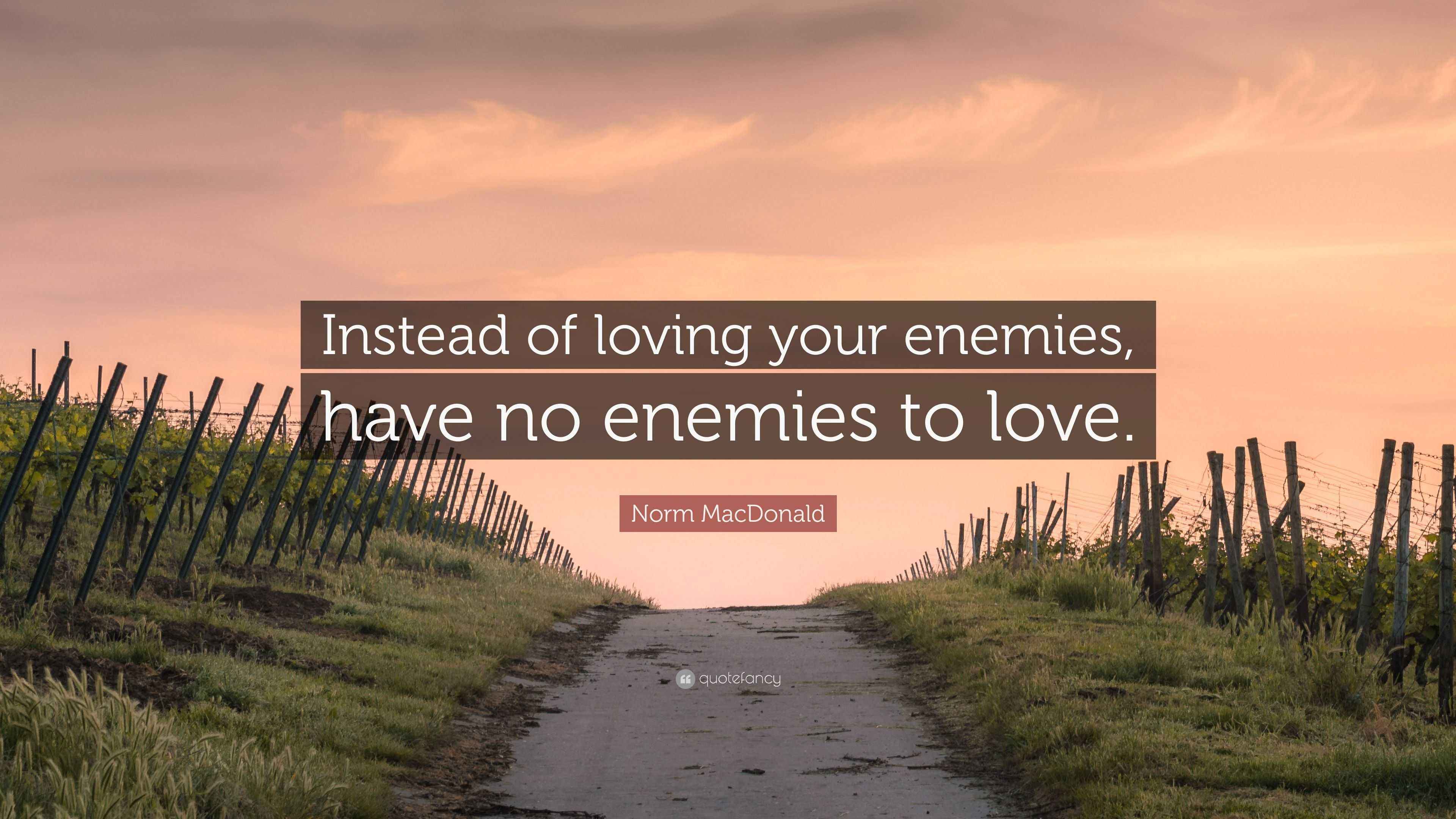Norm MacDonald Quote: “Instead of loving your enemies, have no enemies ...