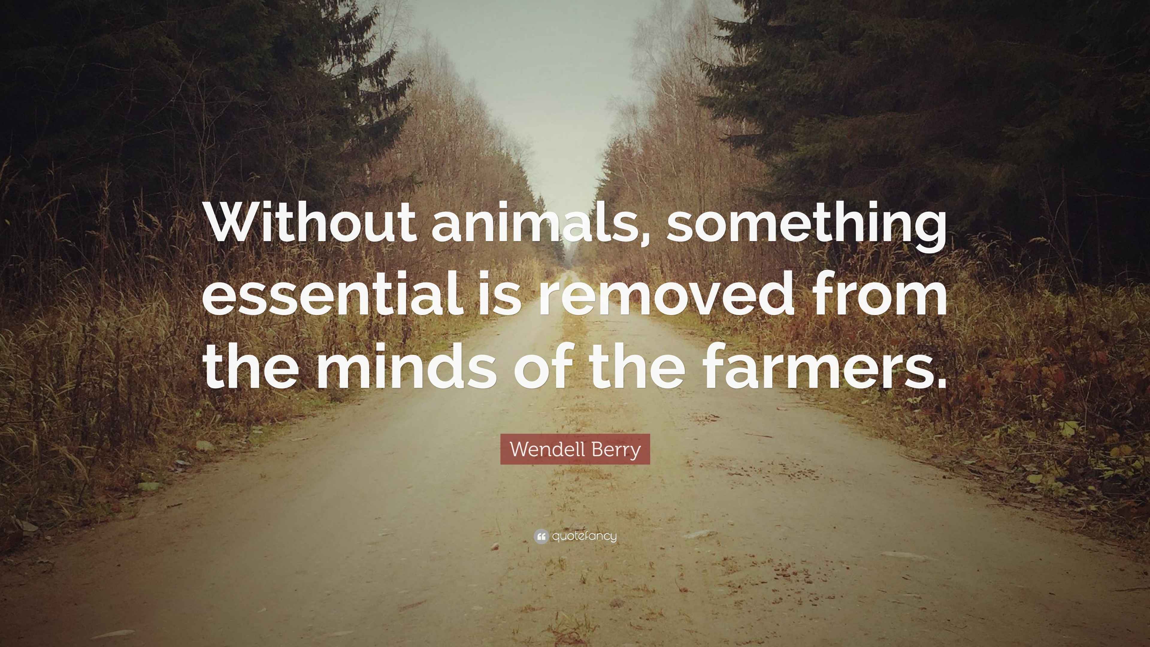 Wendell Berry Quote: “Without animals, something essential is removed ...