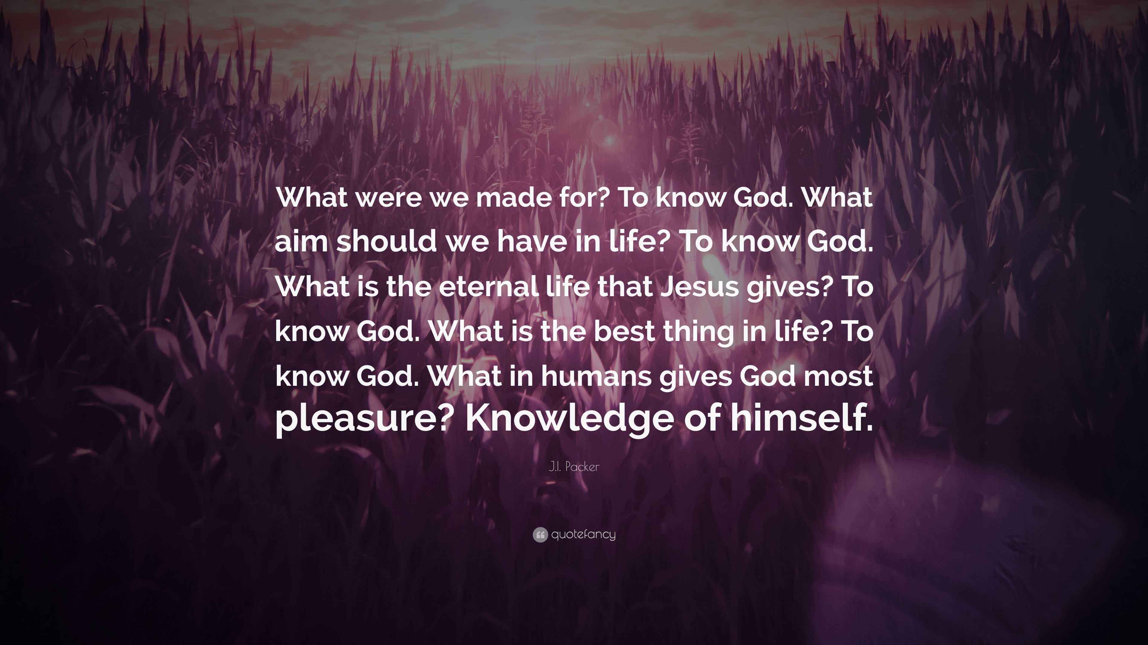 J.I. Packer Quote: “What were we made for? To know God. What aim should ...