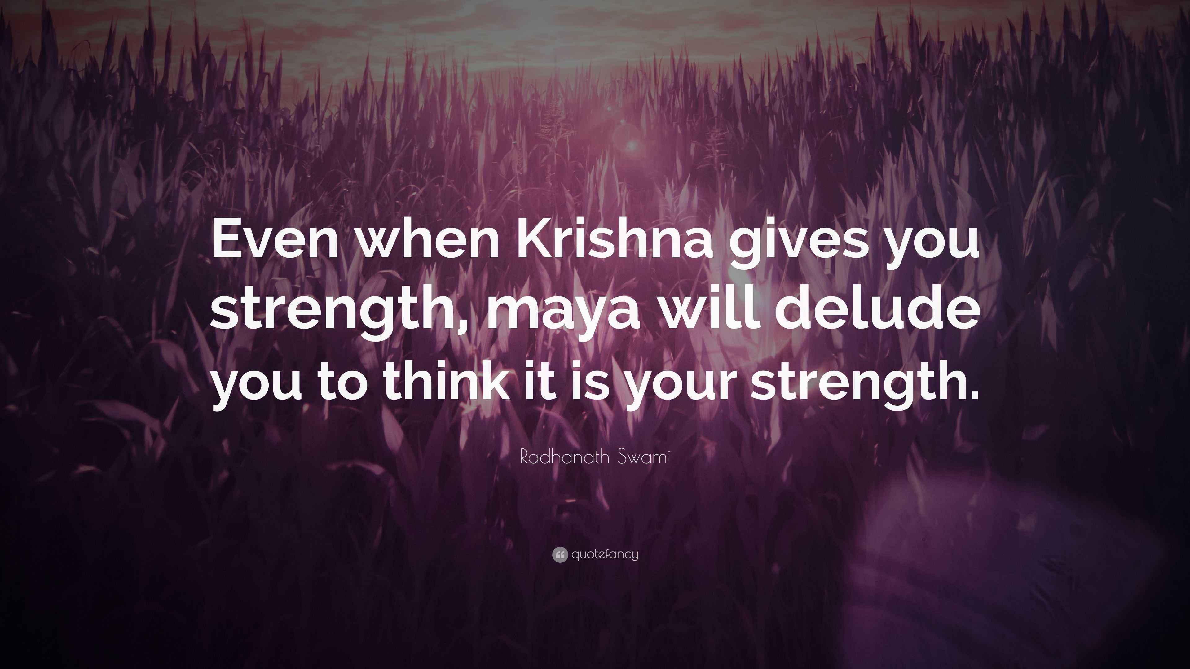 Radhanath Swami Quote: “Even when Krishna gives you strength, maya will ...