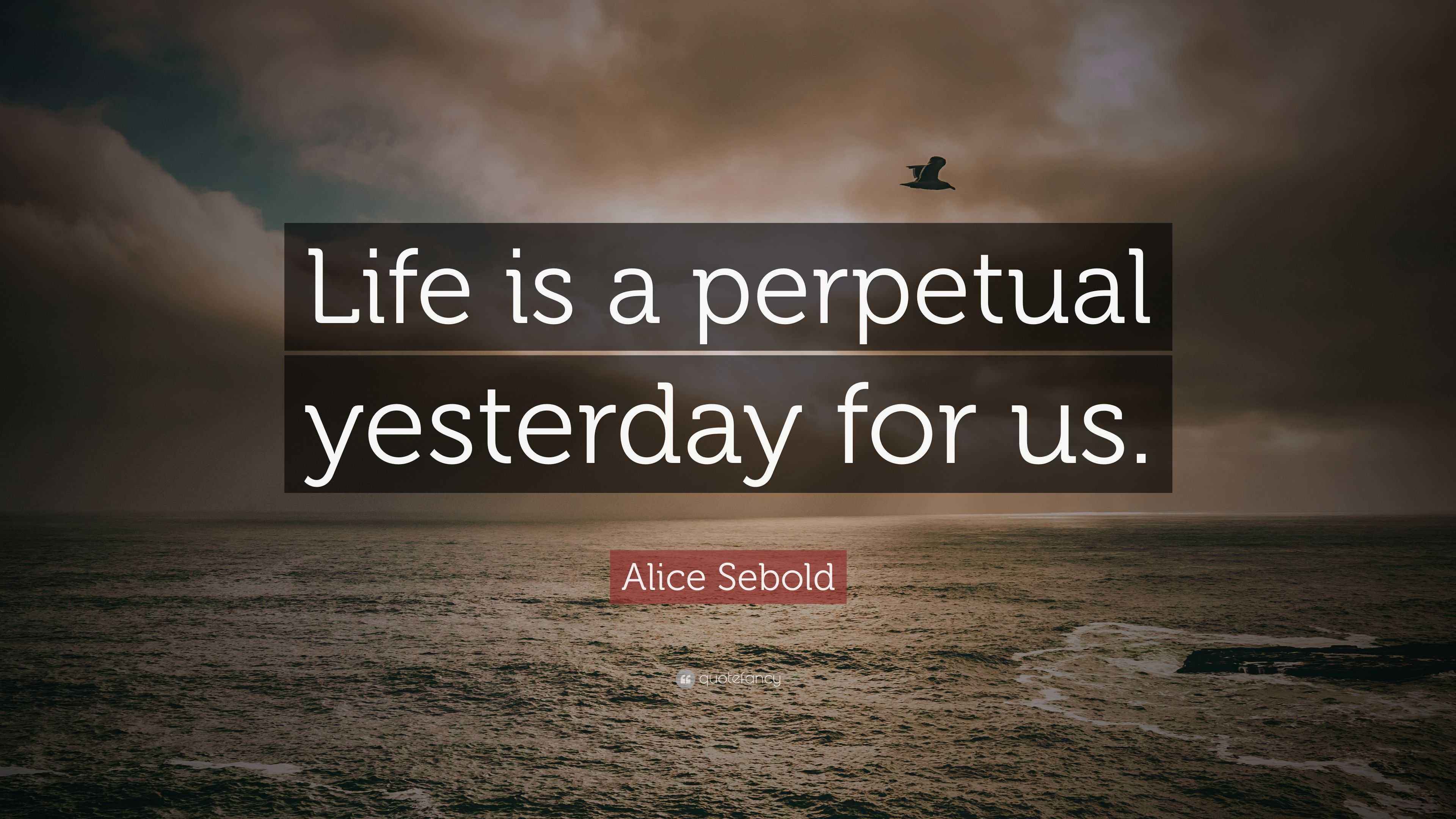 Alice Sebold Quote: “Life is a perpetual yesterday for us.”