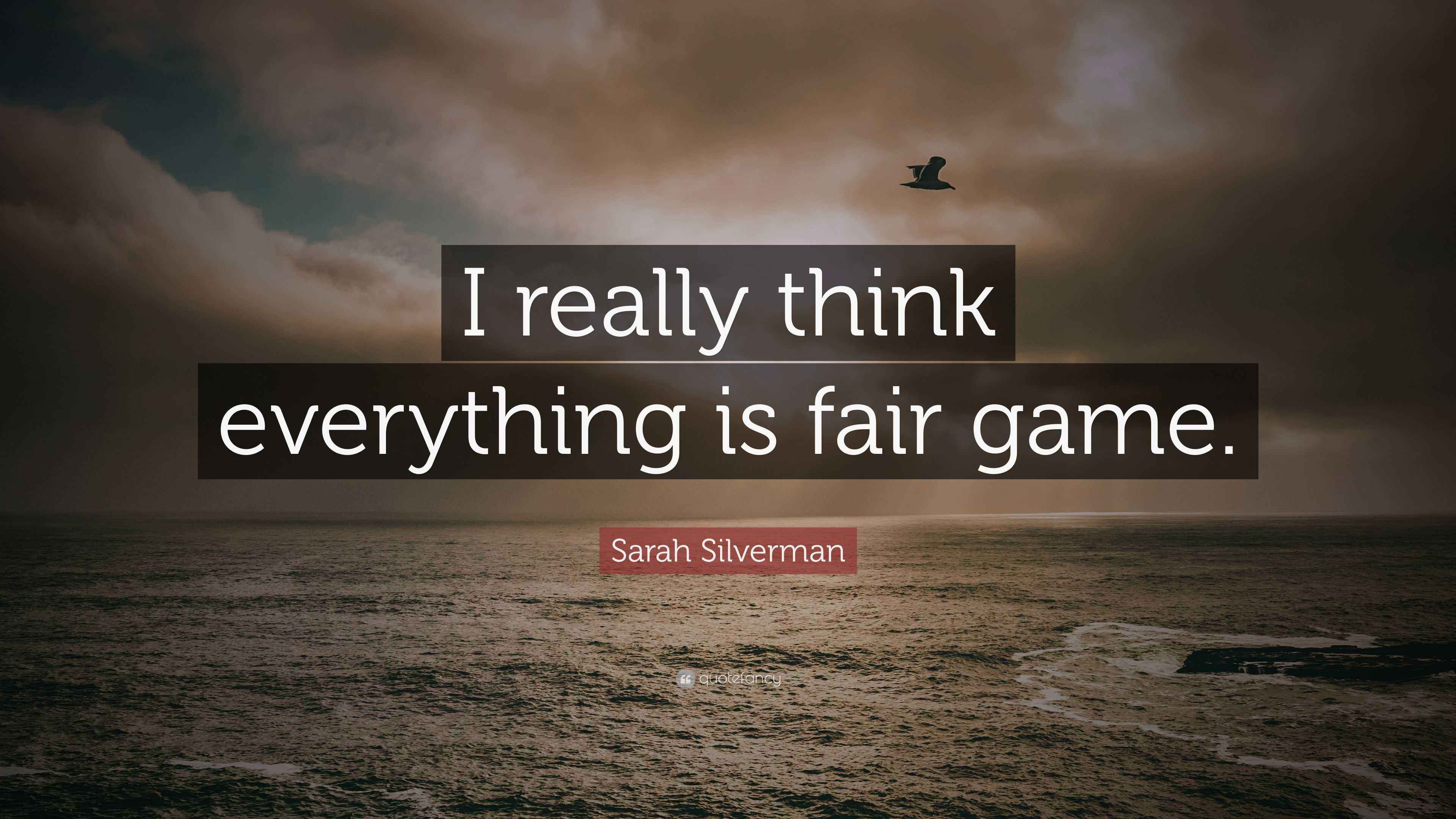 Sarah Silverman Quote: “I really think everything is fair game.”