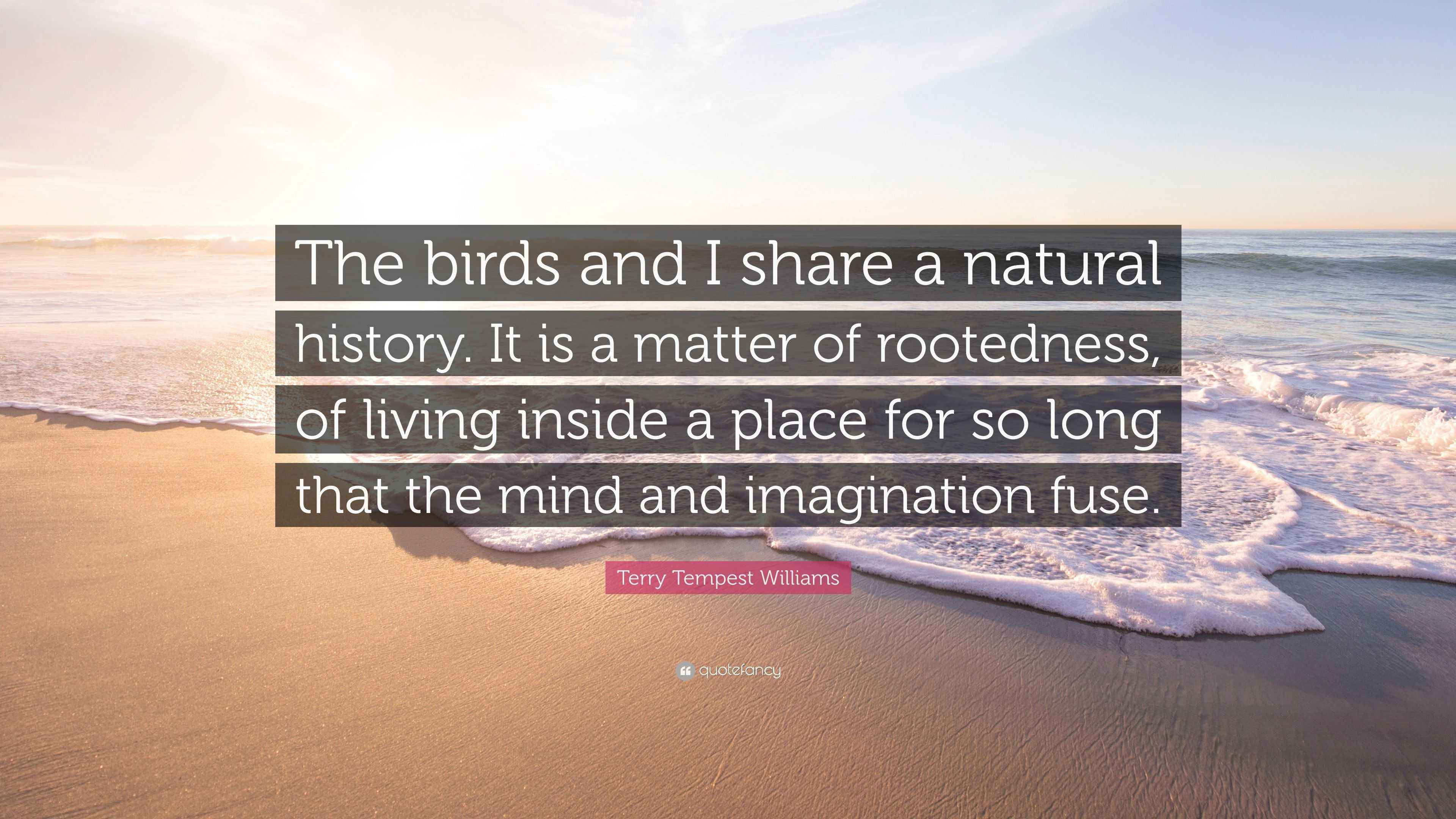 Terry Tempest Williams Quote: “The birds and I share a natural history ...